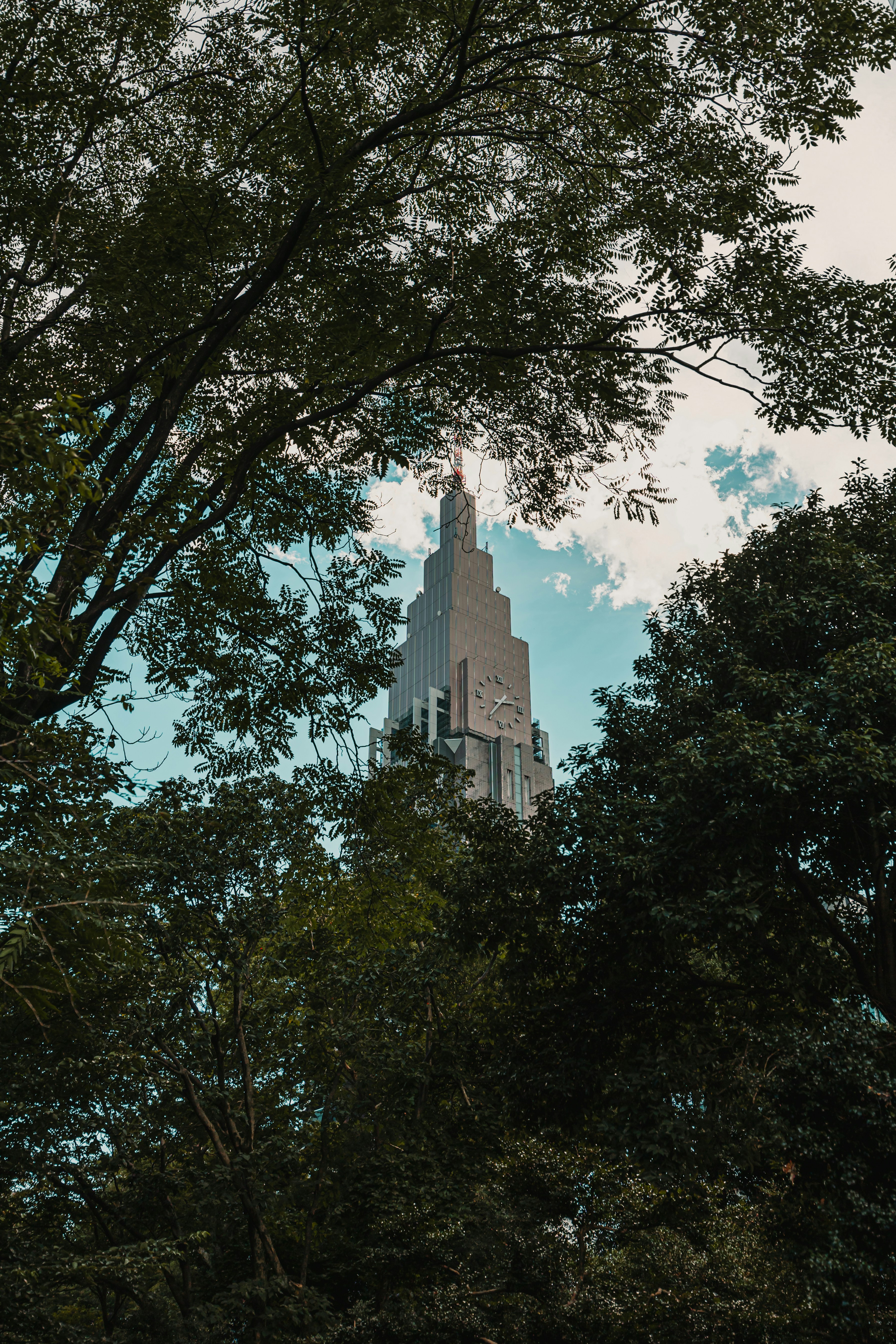 Tall skyscraper peeking through green trees against sky