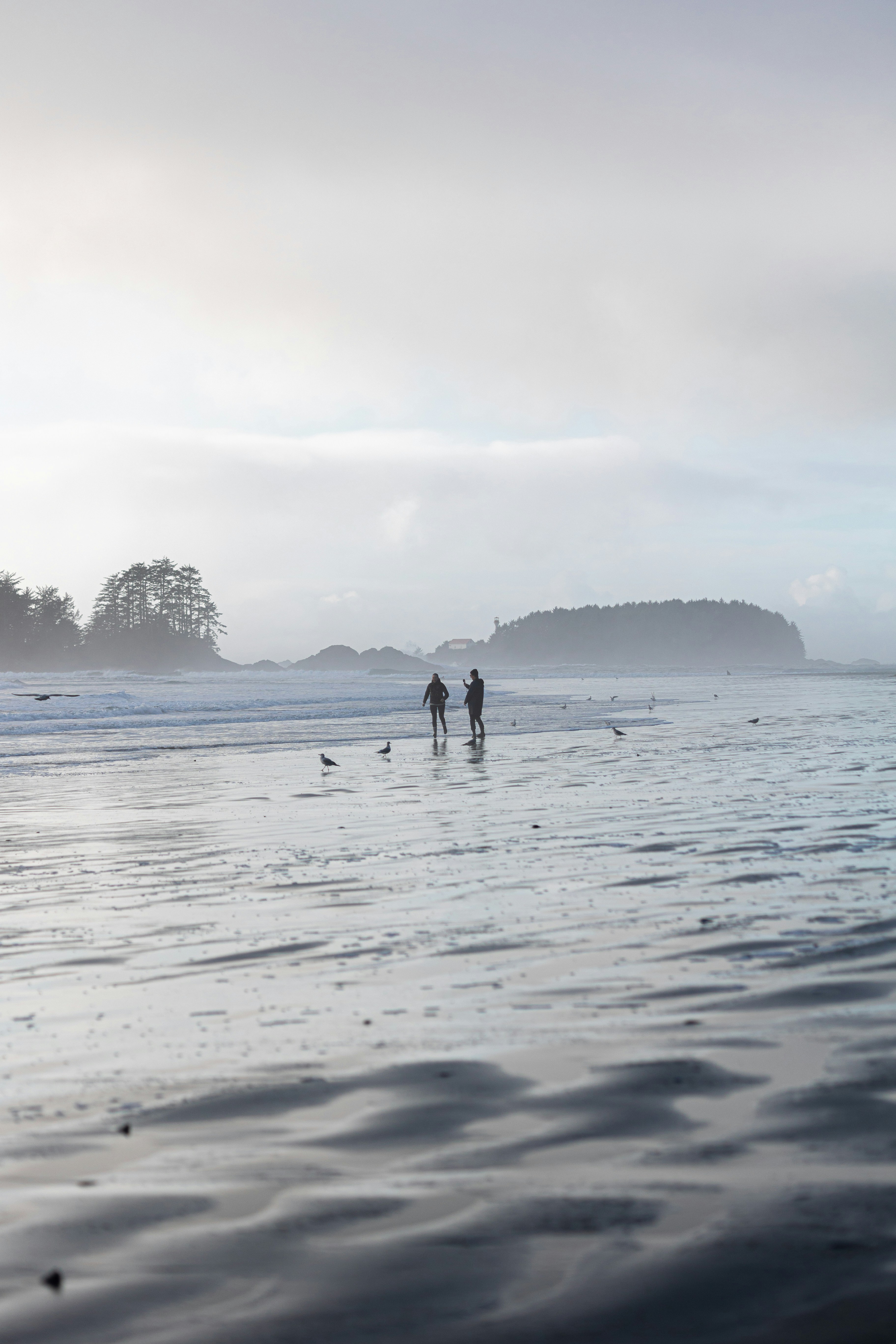 Whispers of the Shore: A Serene Stroll Along the Tides