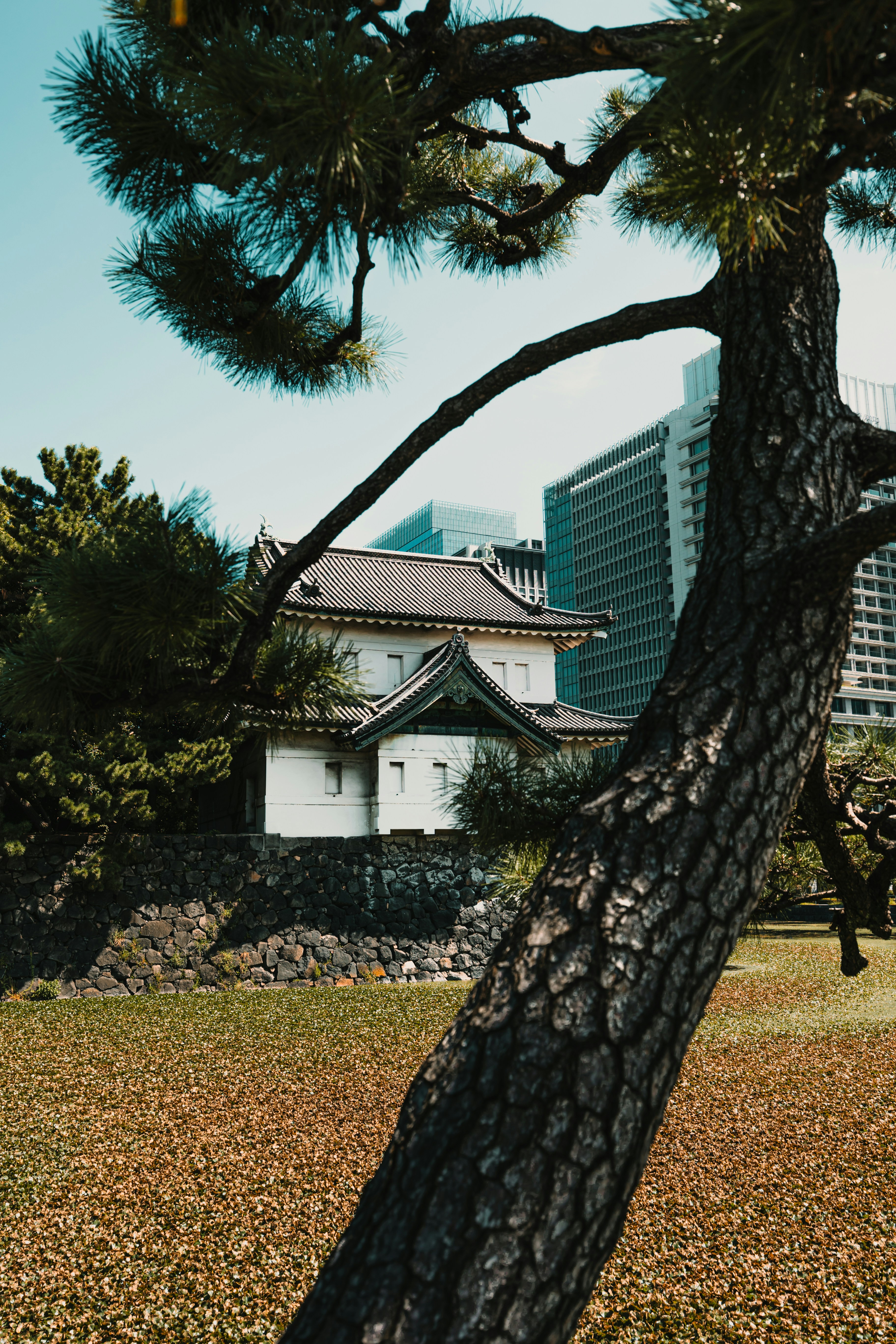 Harmony of Nature and Architecture