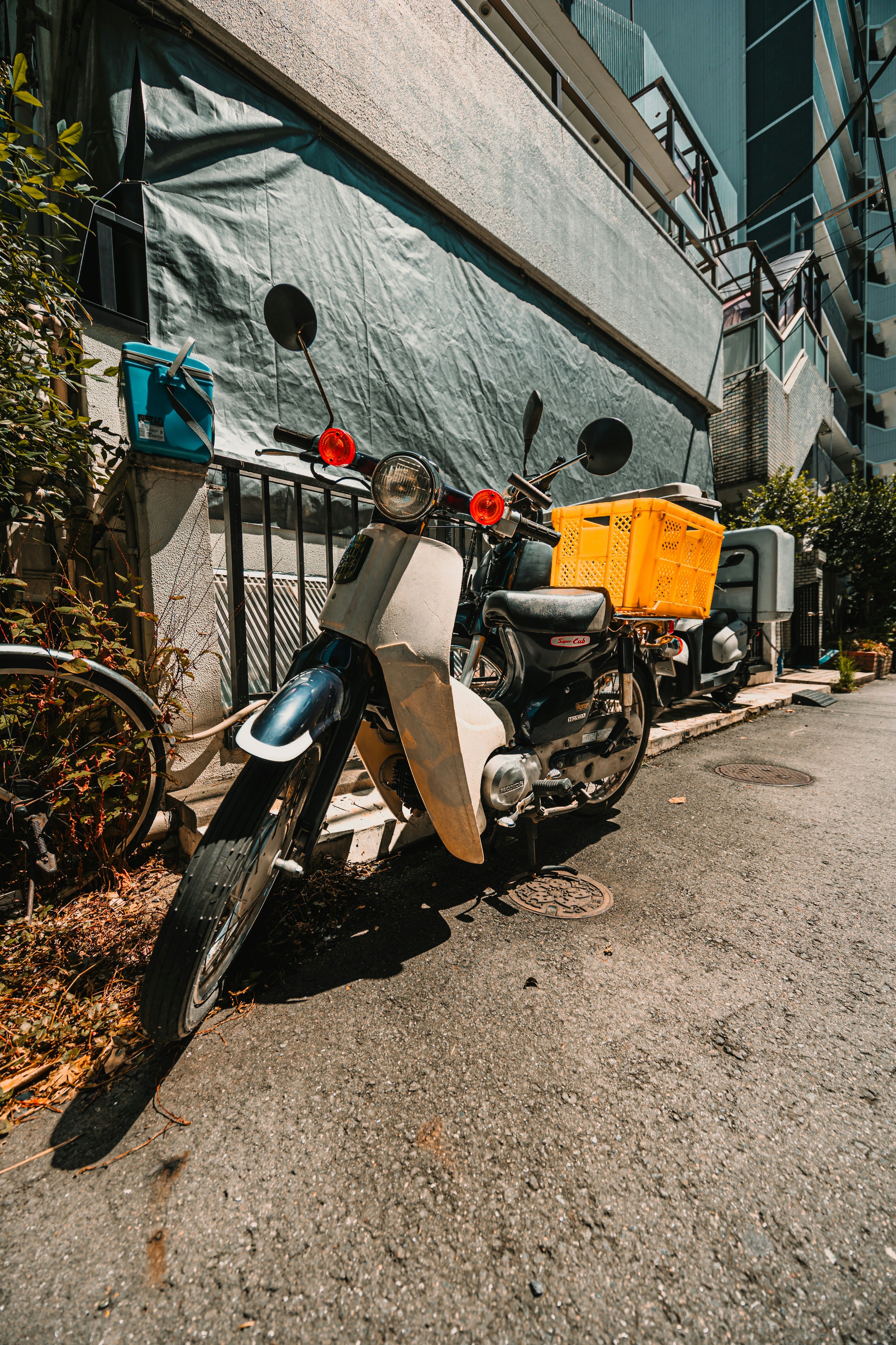 Urban Voyager: The Vintage Delivery Ride