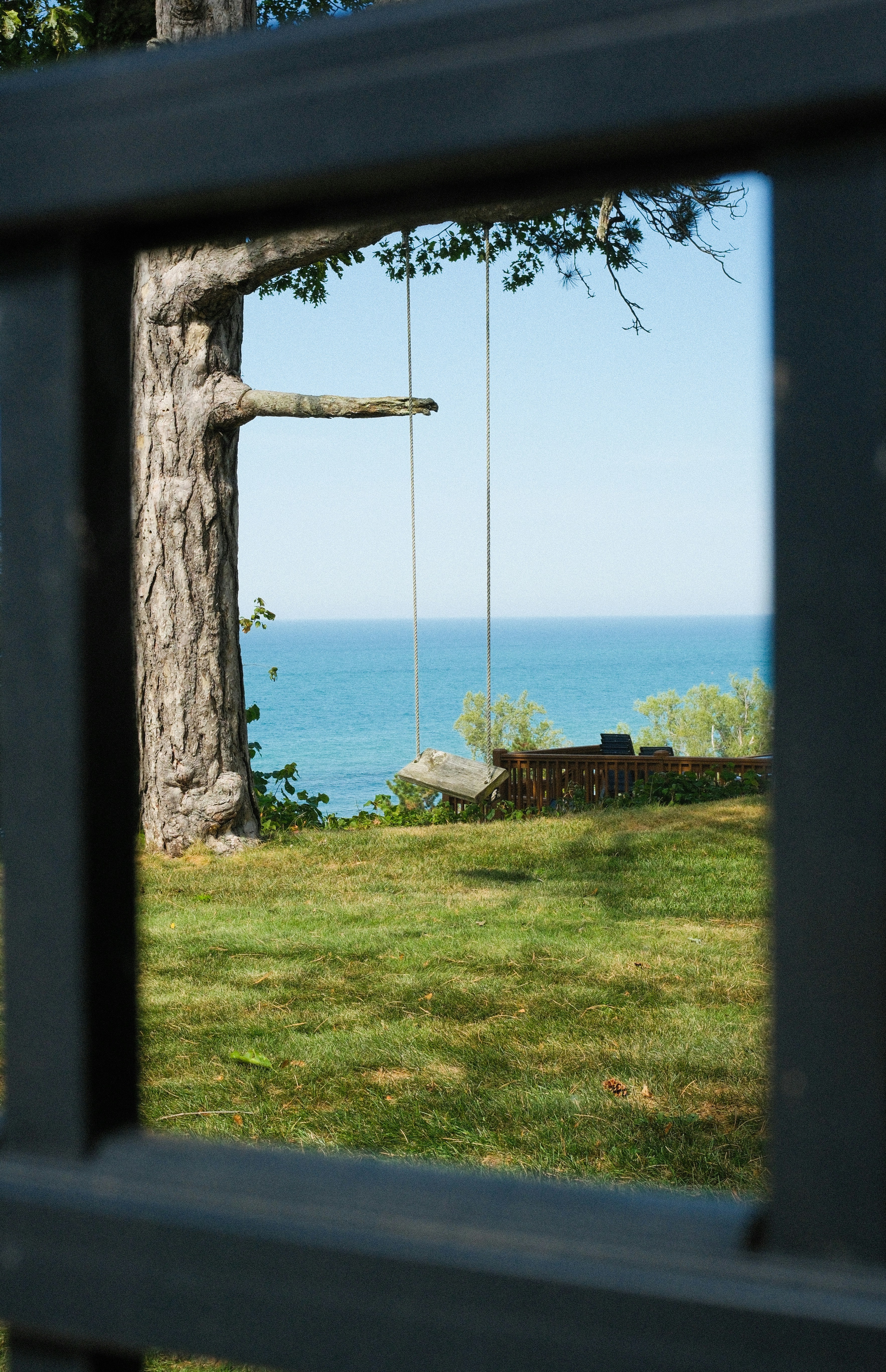 Swing hanging from a tree branch | Swing hanging from tree overlooking the ocean