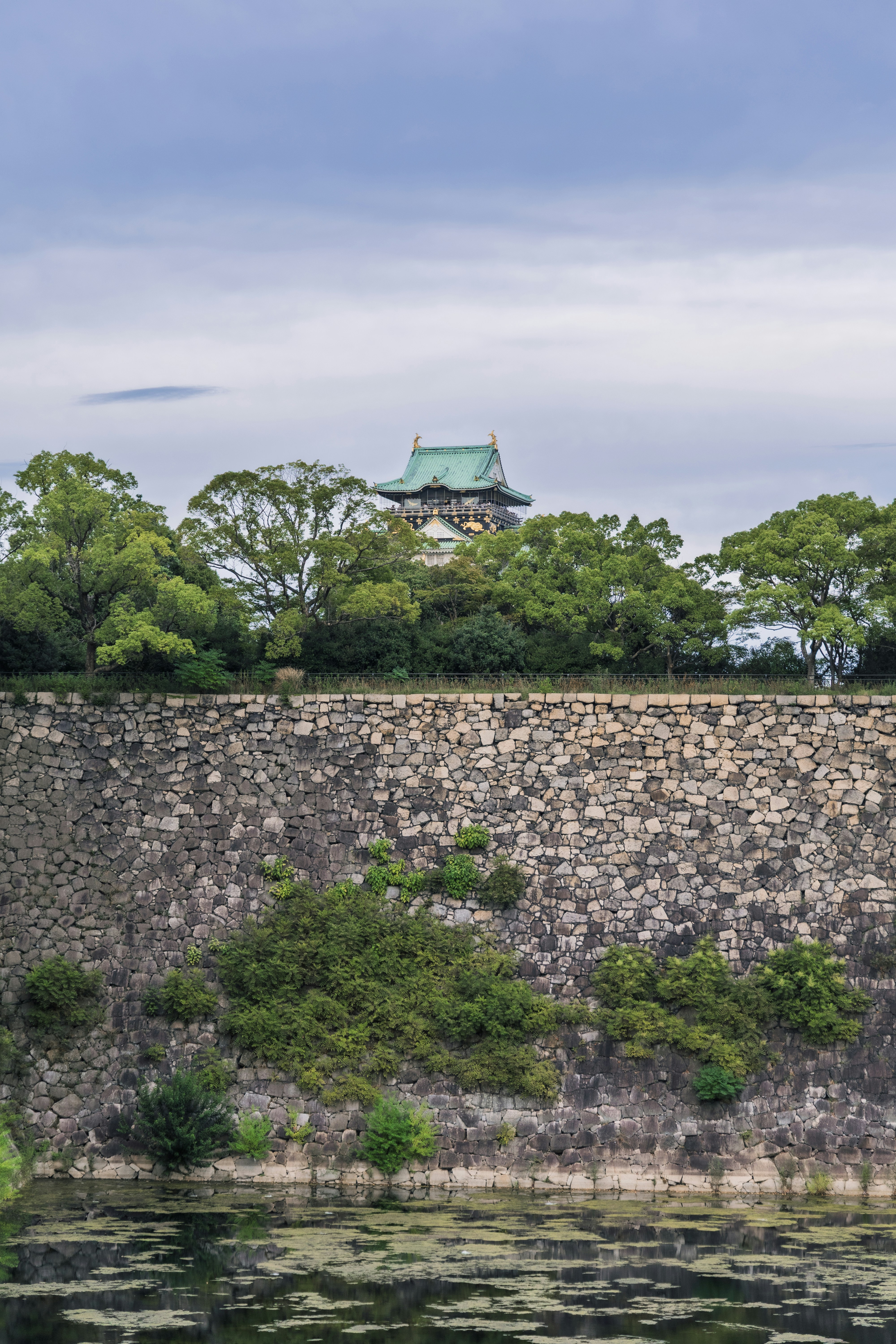 Historic castle tower peeking through lush greenery atop a sturdy stone wall, reflecting in calm waters below.