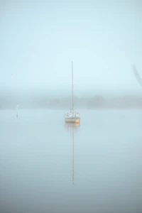 Whispers of the Mist