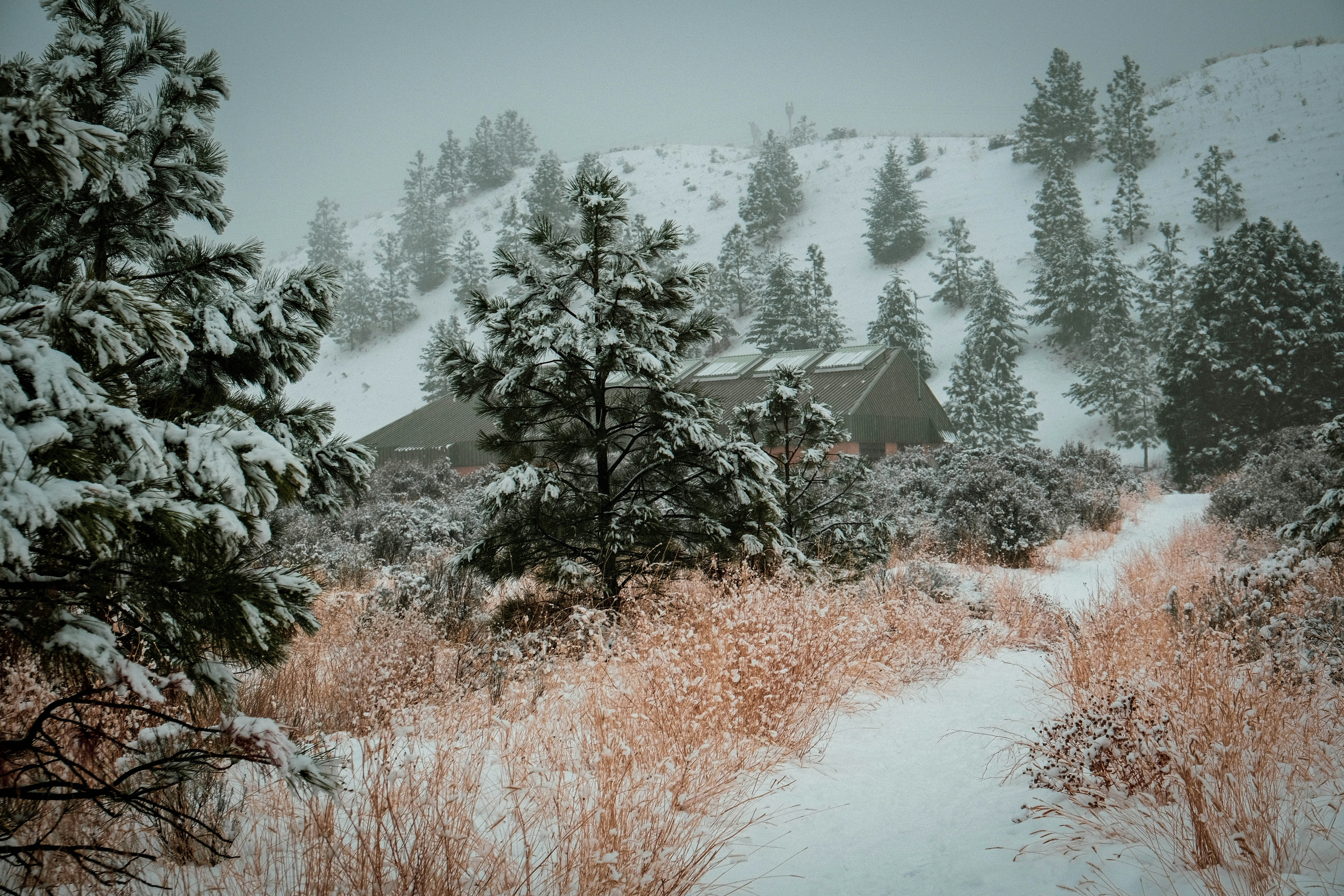 Whispers of Winter: A Hidden Retreat