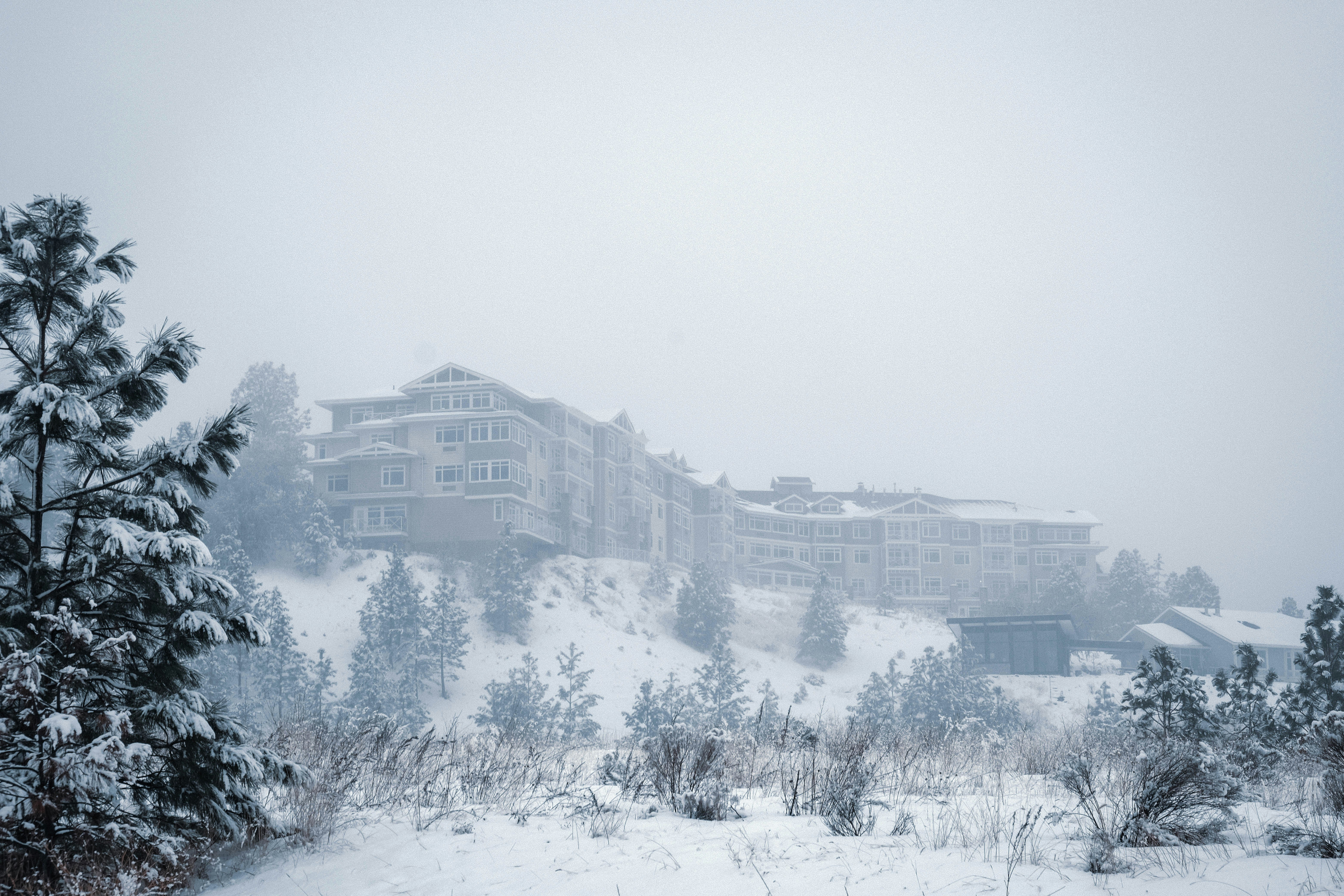 Snowbound Chalet Rising Above Whispering Pines