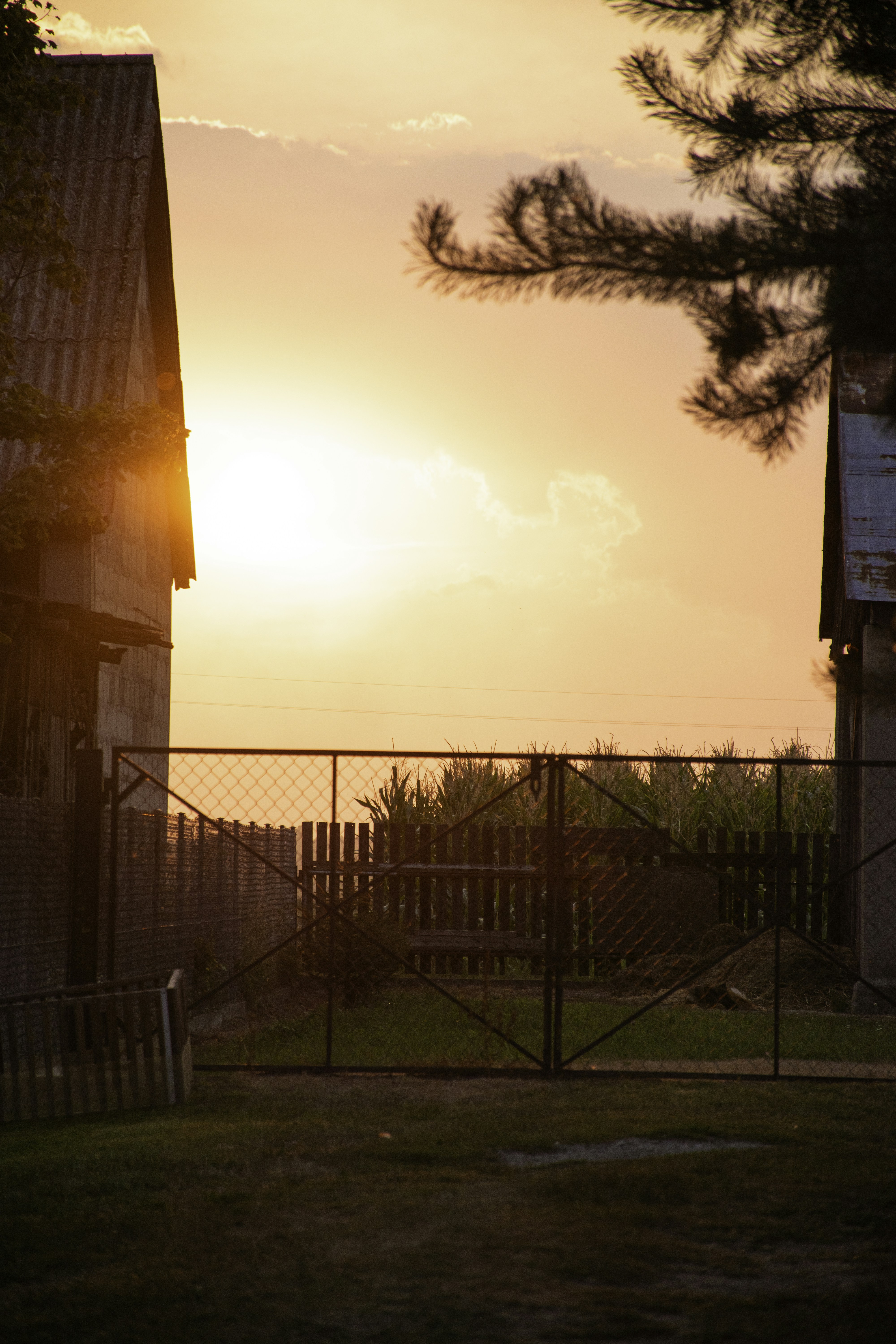 Sunset Through the Rustic Gate