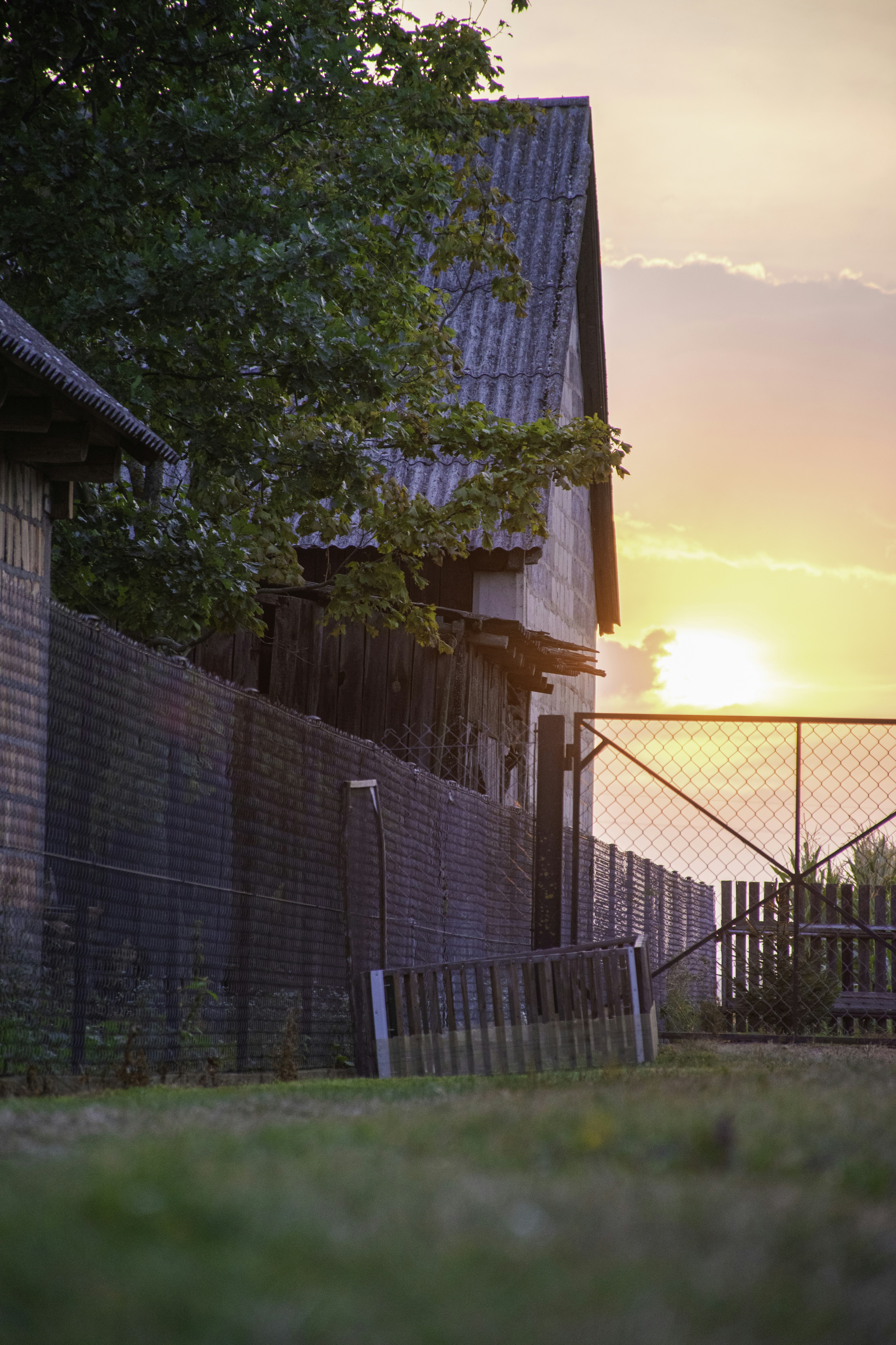 Dusk Threshold: Sunlight Framing a Weathered Fence by a Quiet Farmhouse