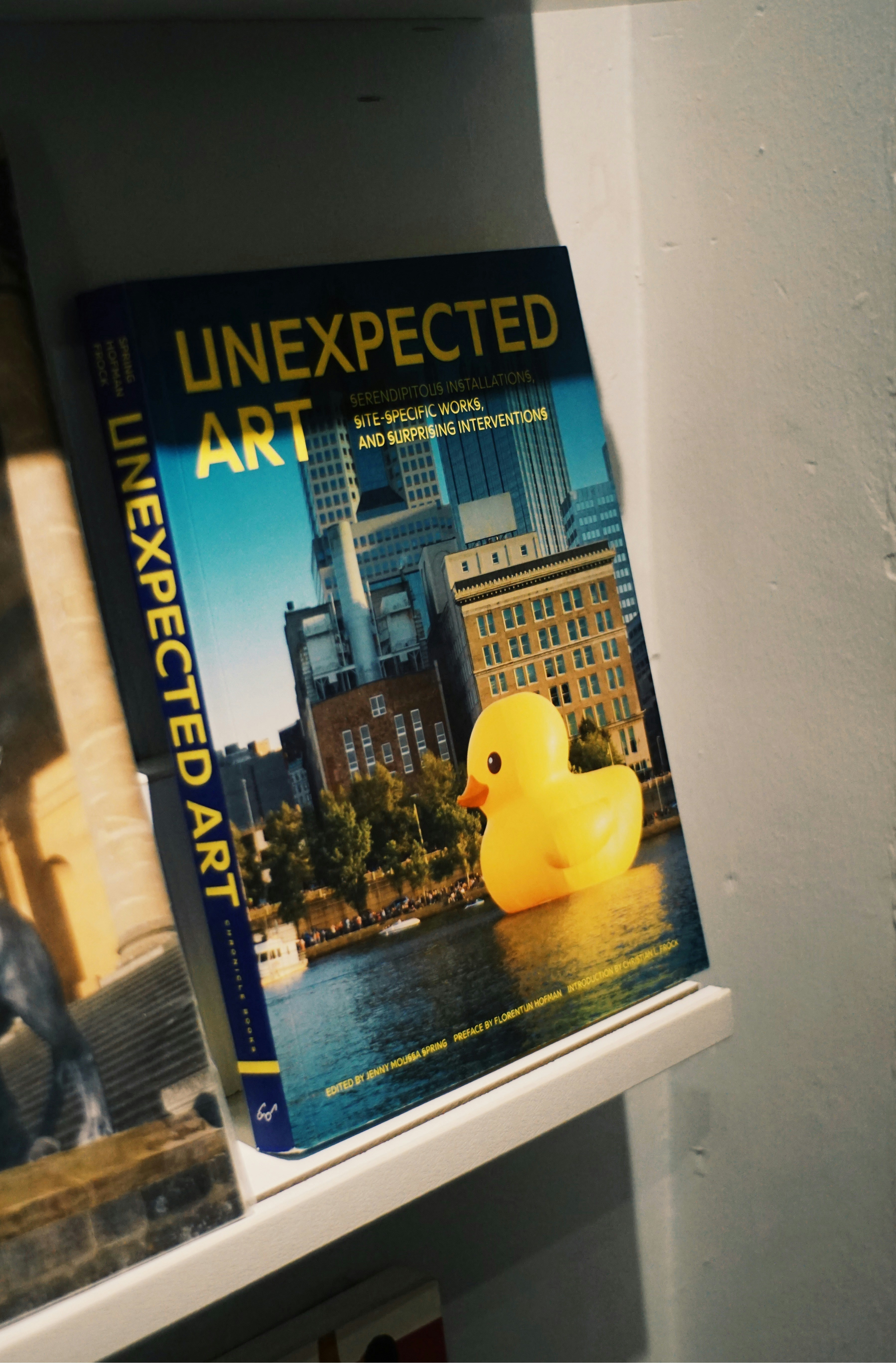 Find art in the most unexpected places. | Book cover with rubber duck and city skyline