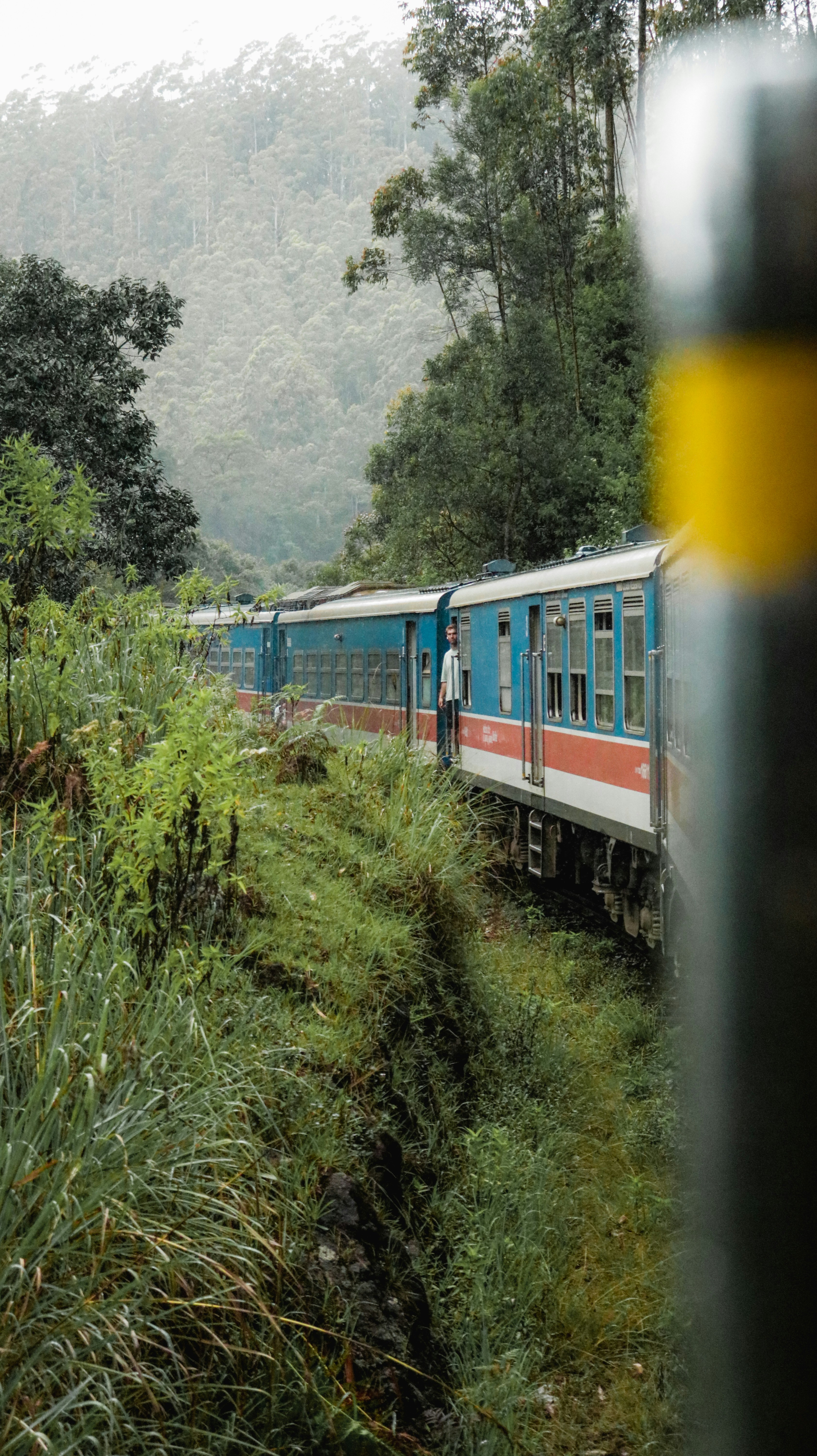 Train navigating through a verdant landscape, flanked by dense foliage and misty hills. A glimpse of a passenger adds a human element to the scene.
