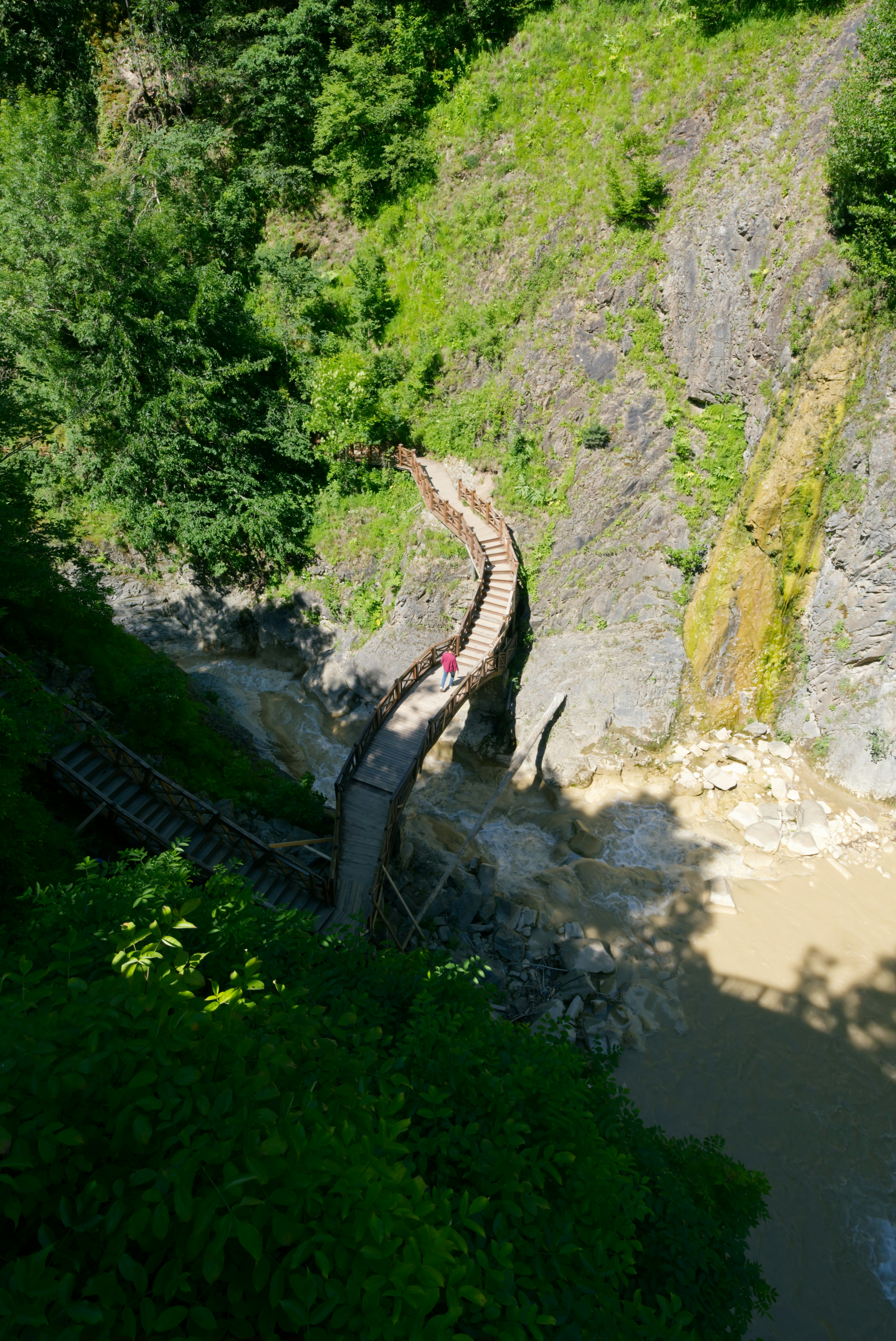 Winding Pathway Through Nature's Embrace