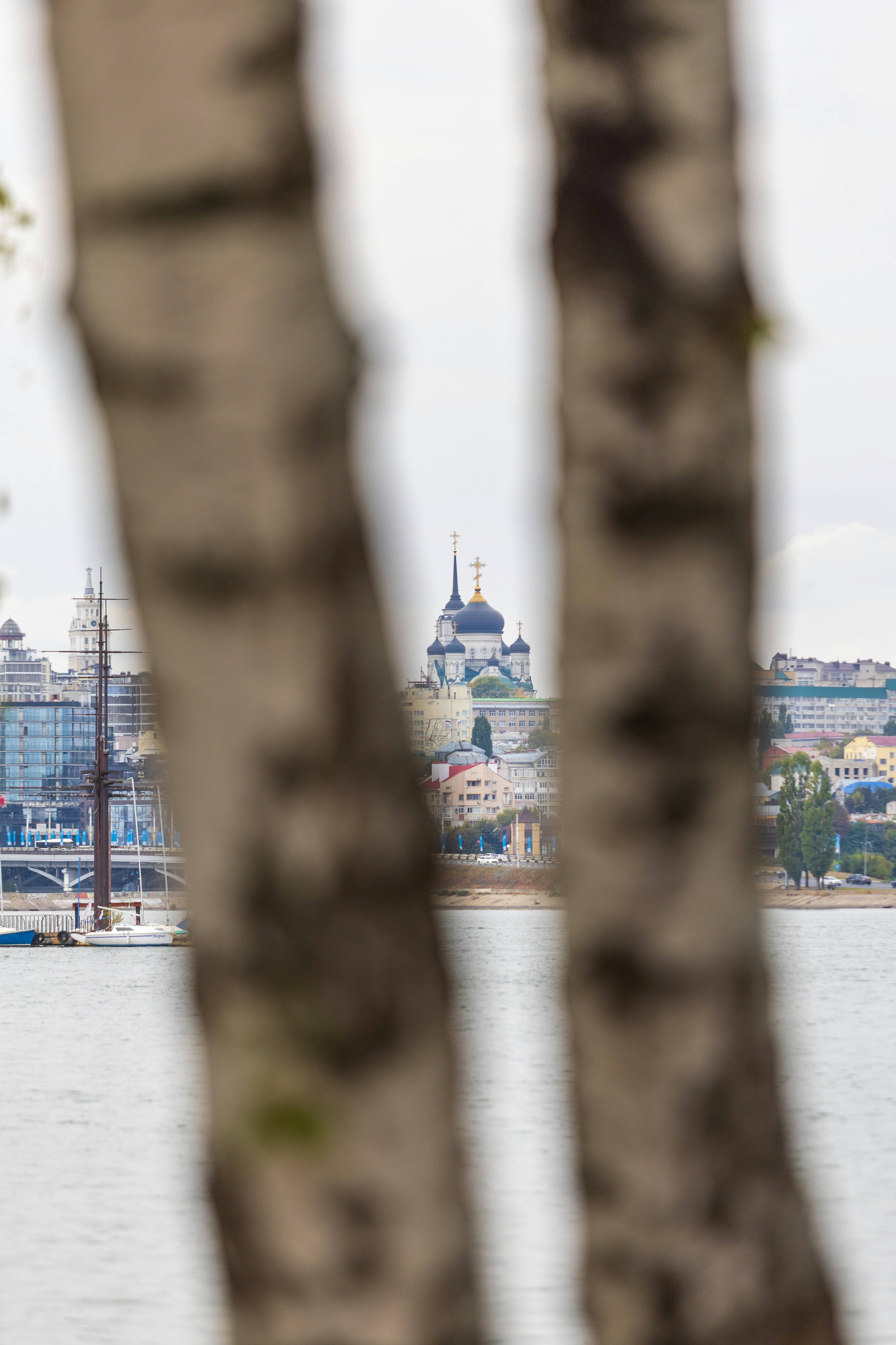 City skyline with church and trees in foreground.