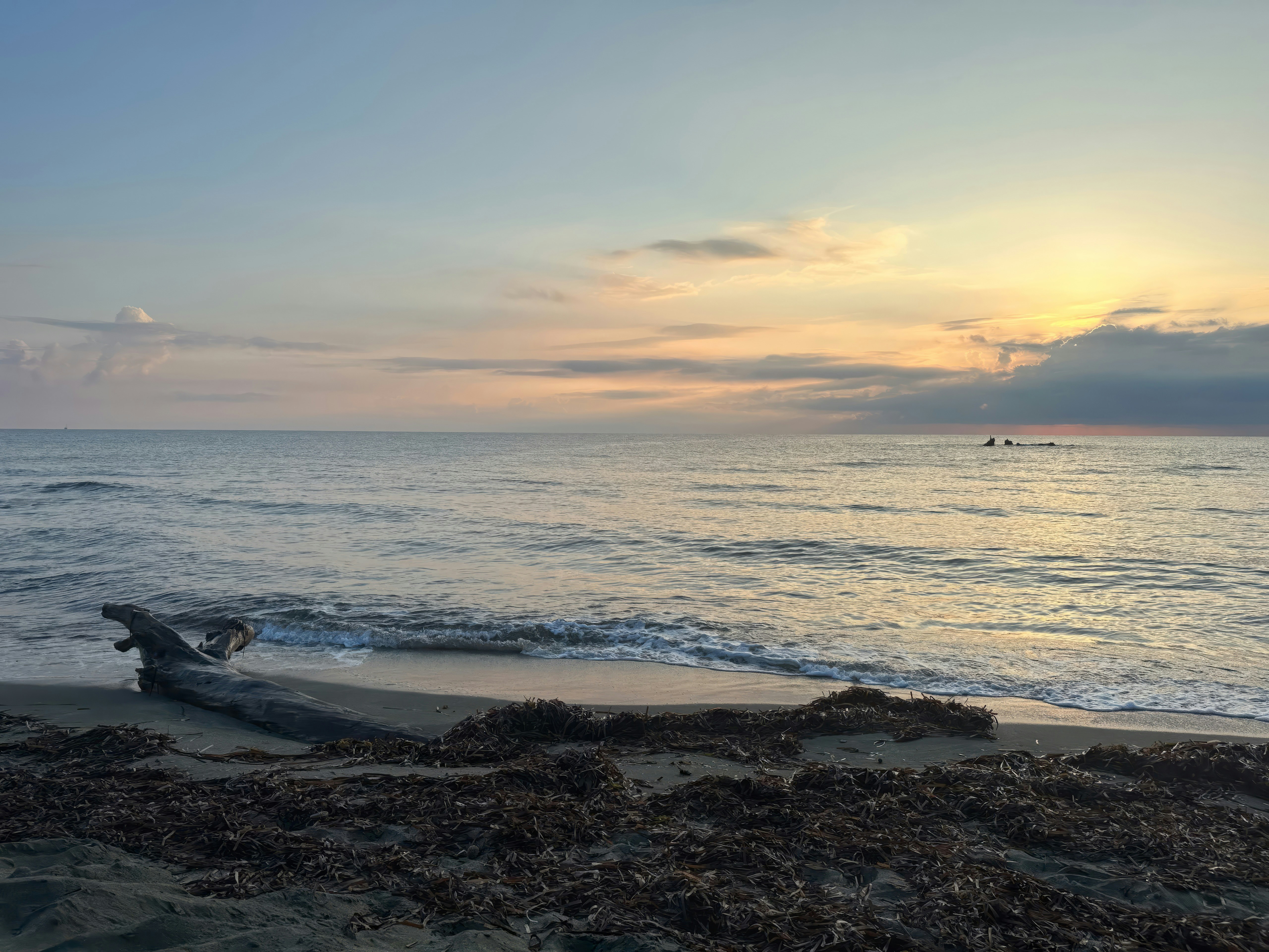 Whispers of Dusk: A Coastal Serenity