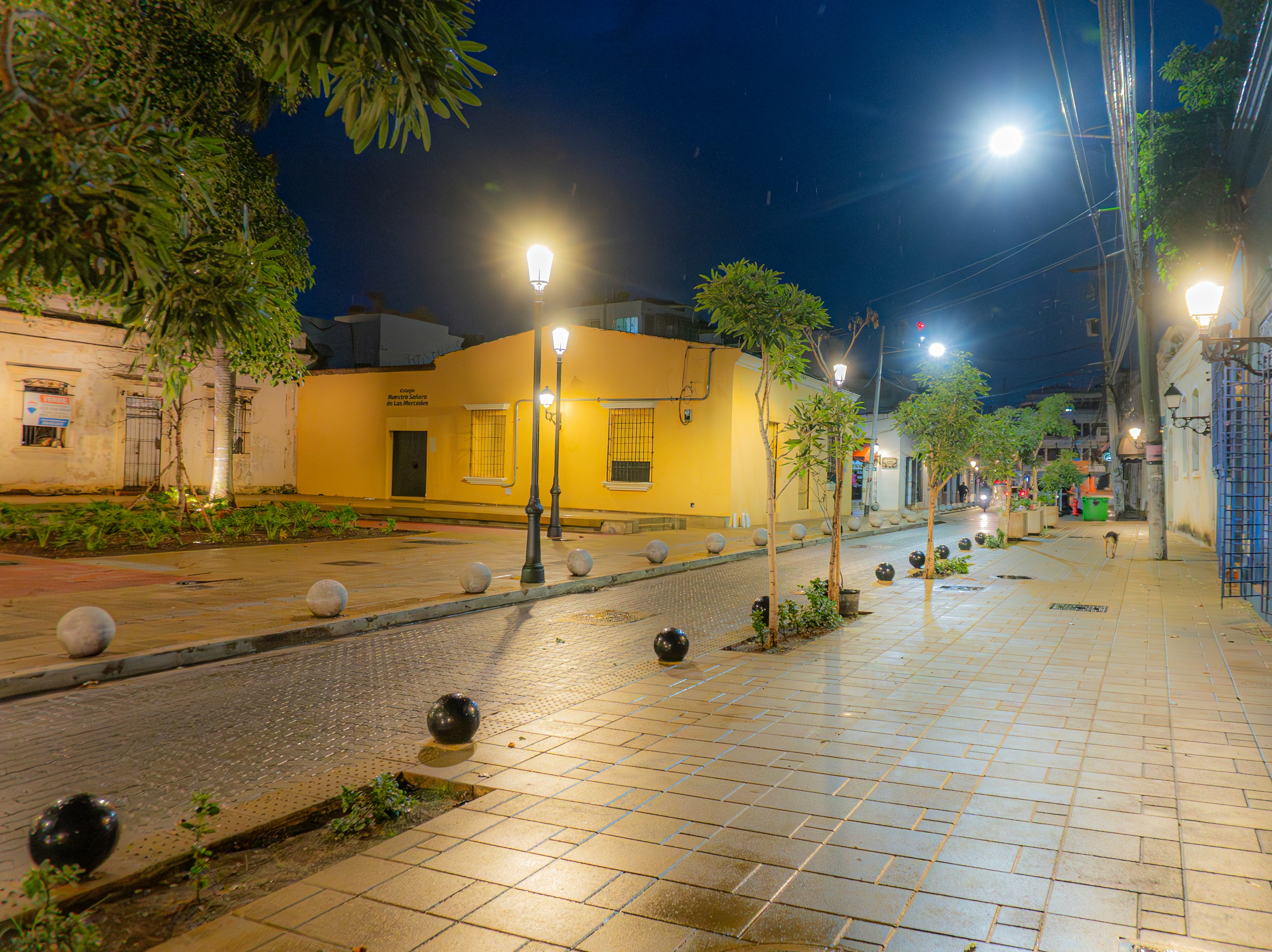 Nocturnal Serenity: A Quiet Street Awaits