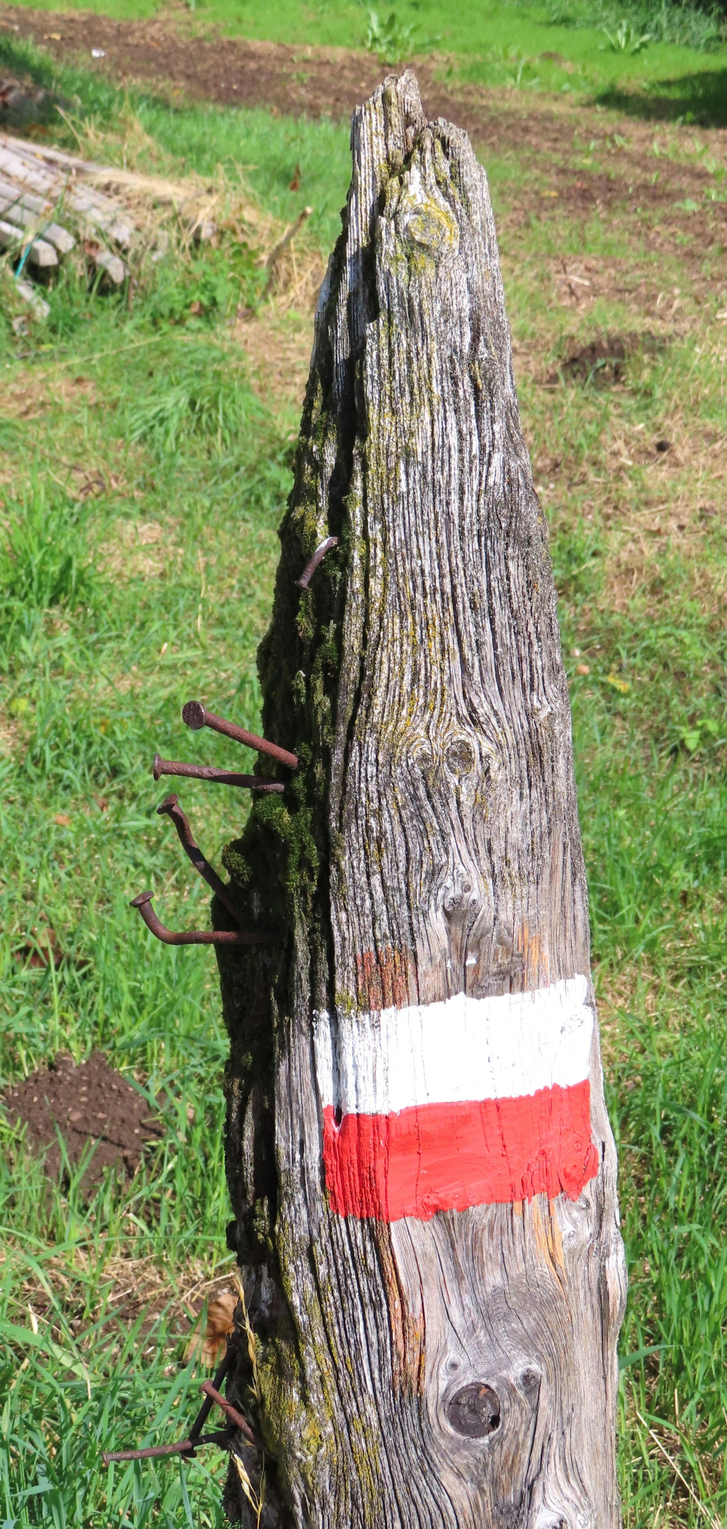 Weathered wooden post with red and white trail marker.