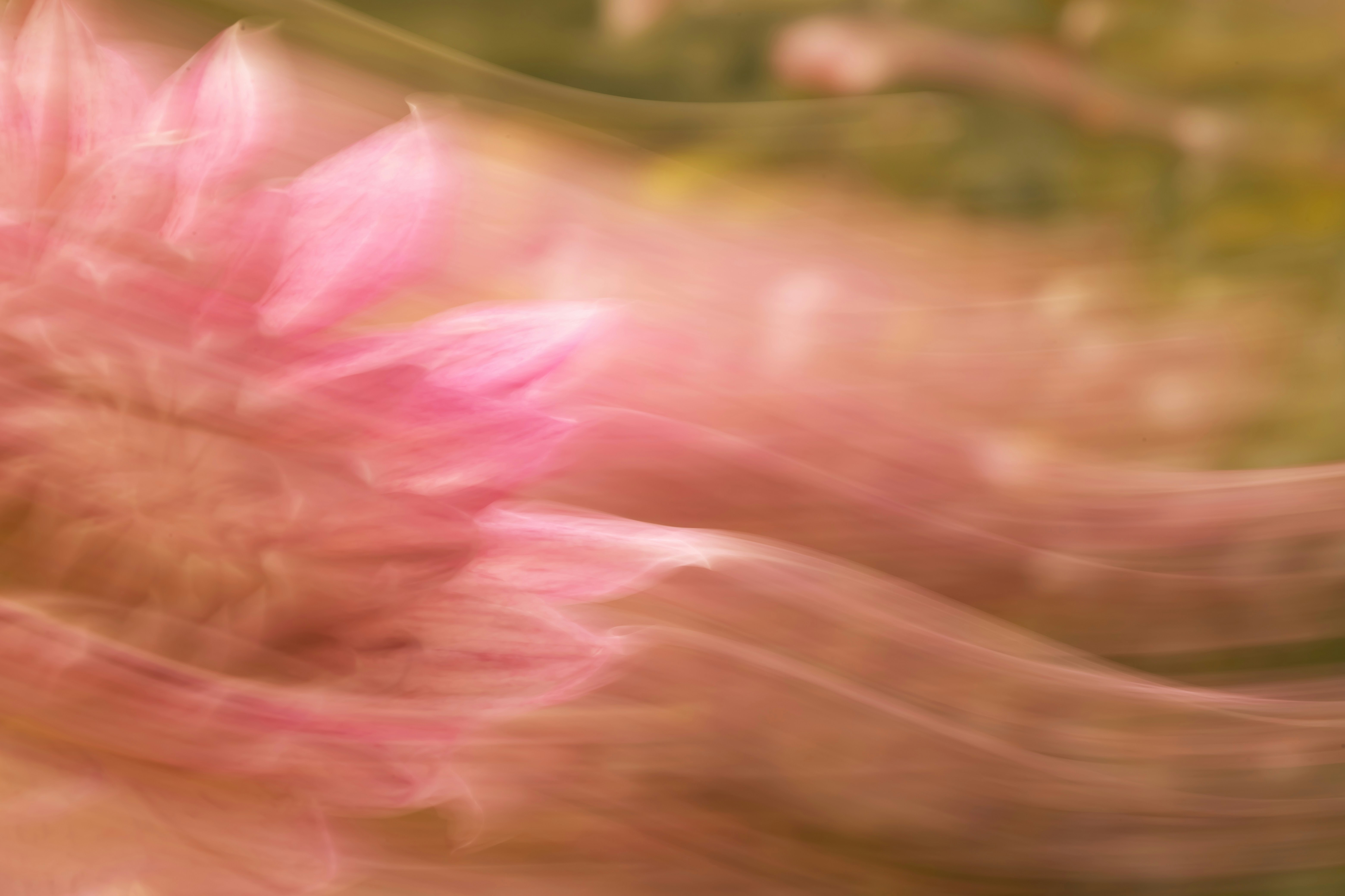 Abstract pink and green blurred floral pattern