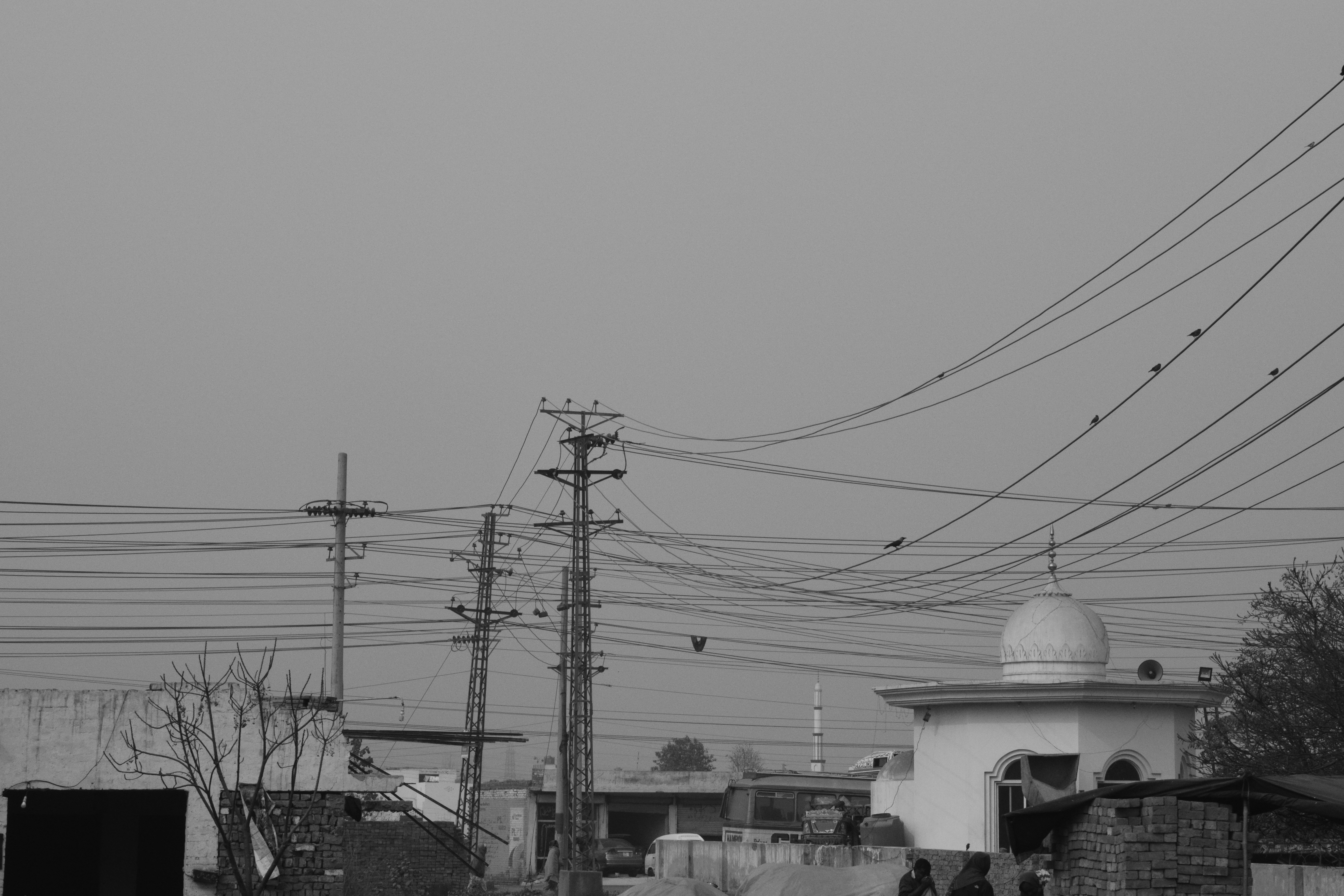 Birds perched on power lines near a mosque.