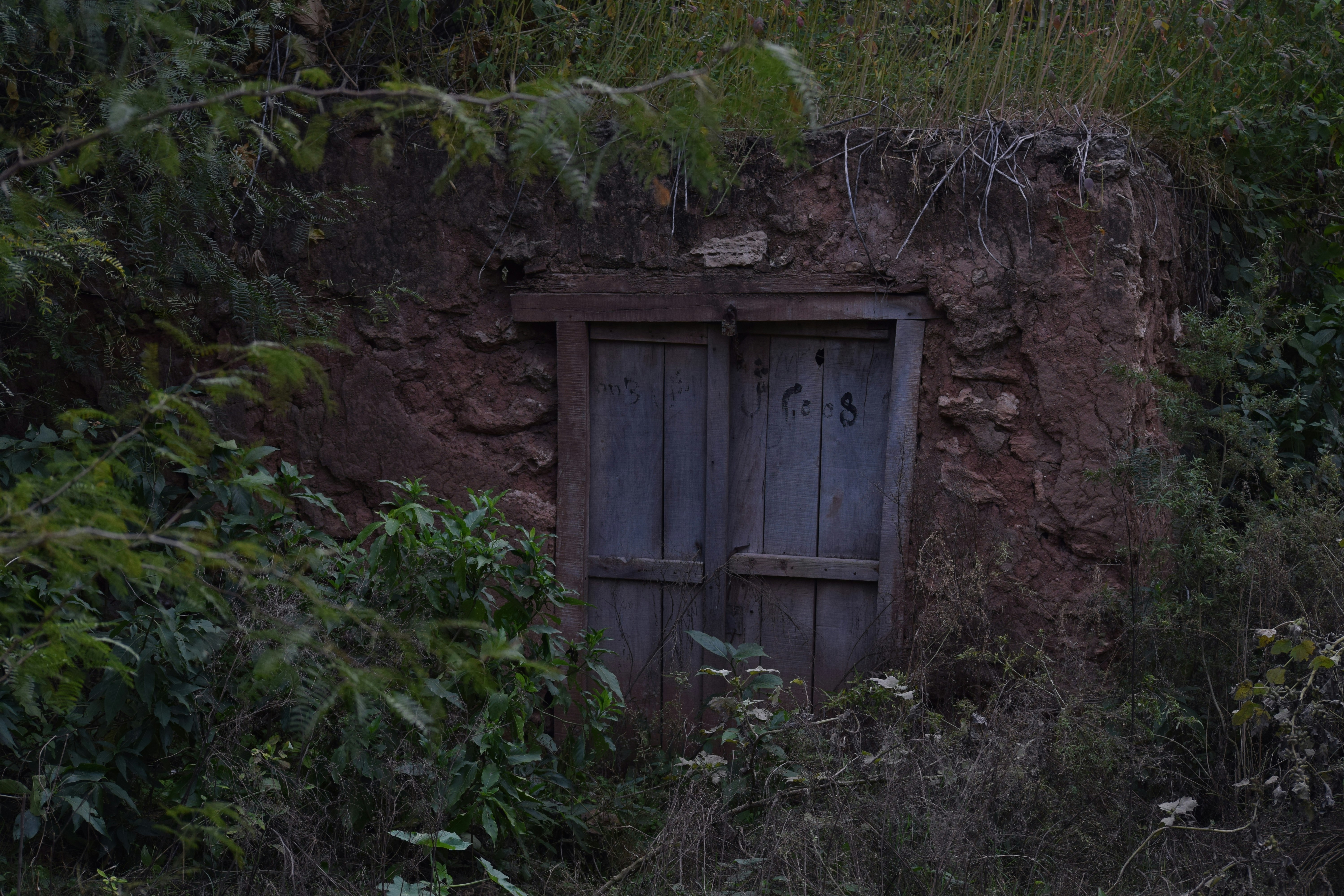 Whispers of the Forgotten Door