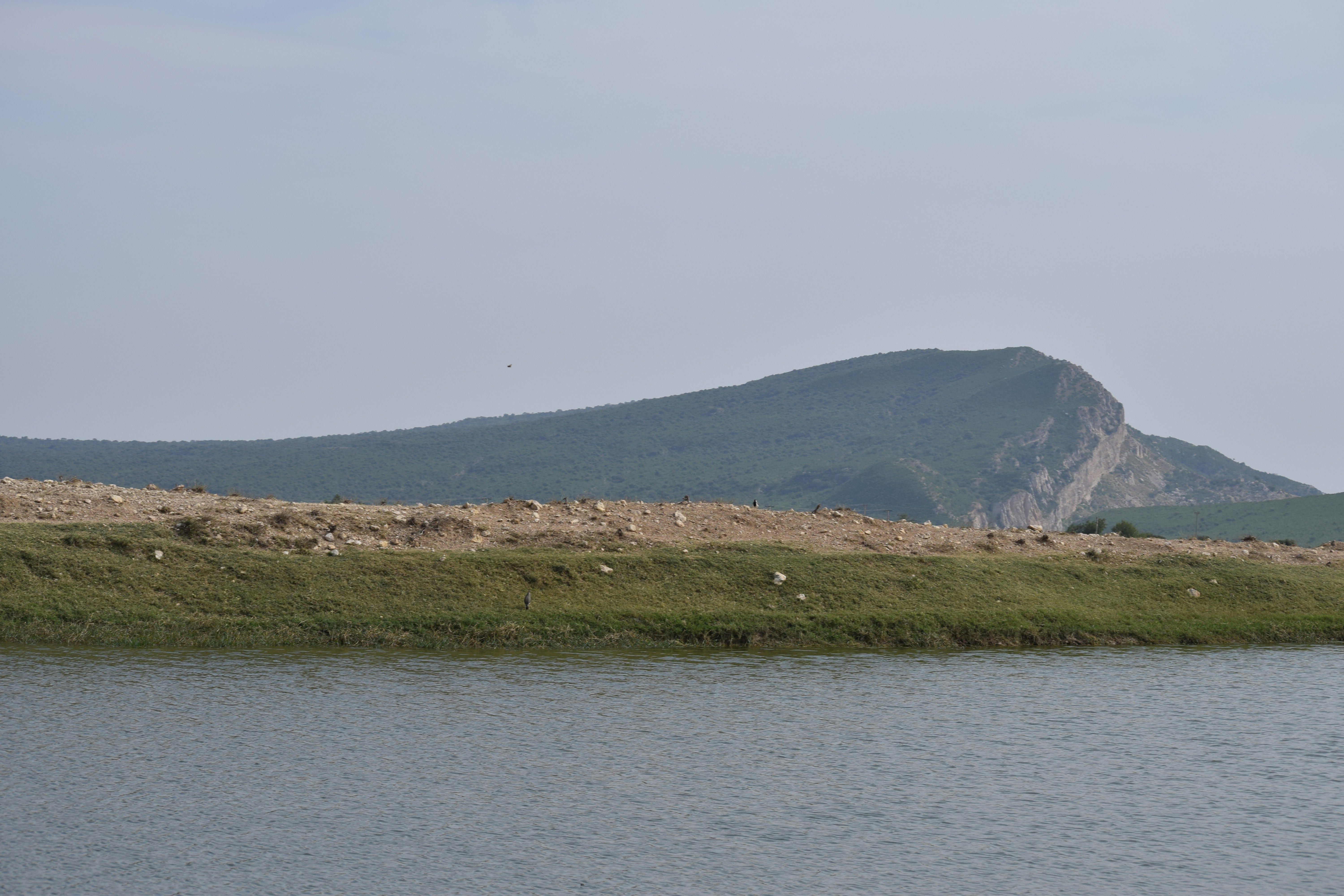 A distant mountain range over a grassy field.