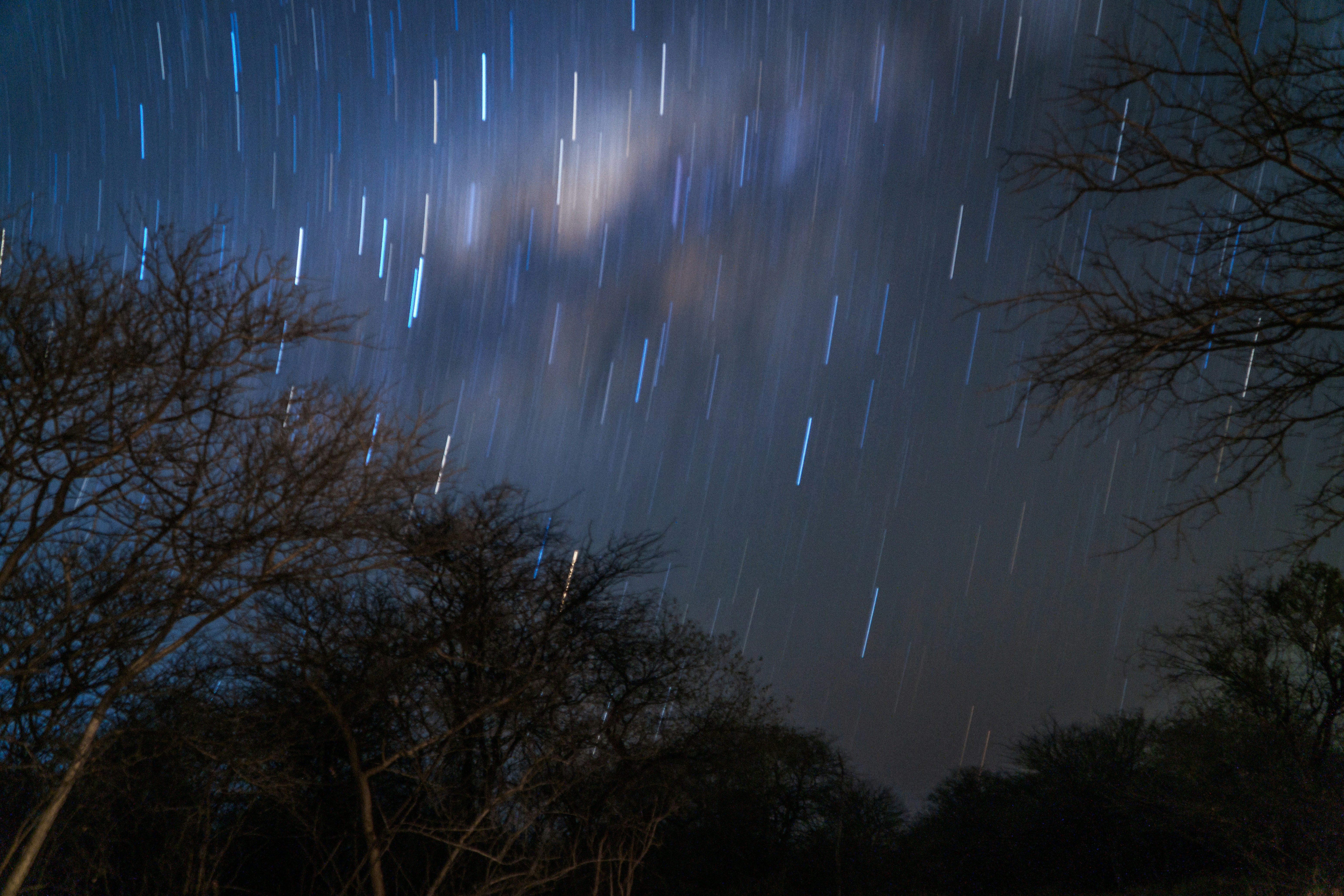 Tree, stars, galaxy, moving through time. | Star trails over silhouetted trees at night