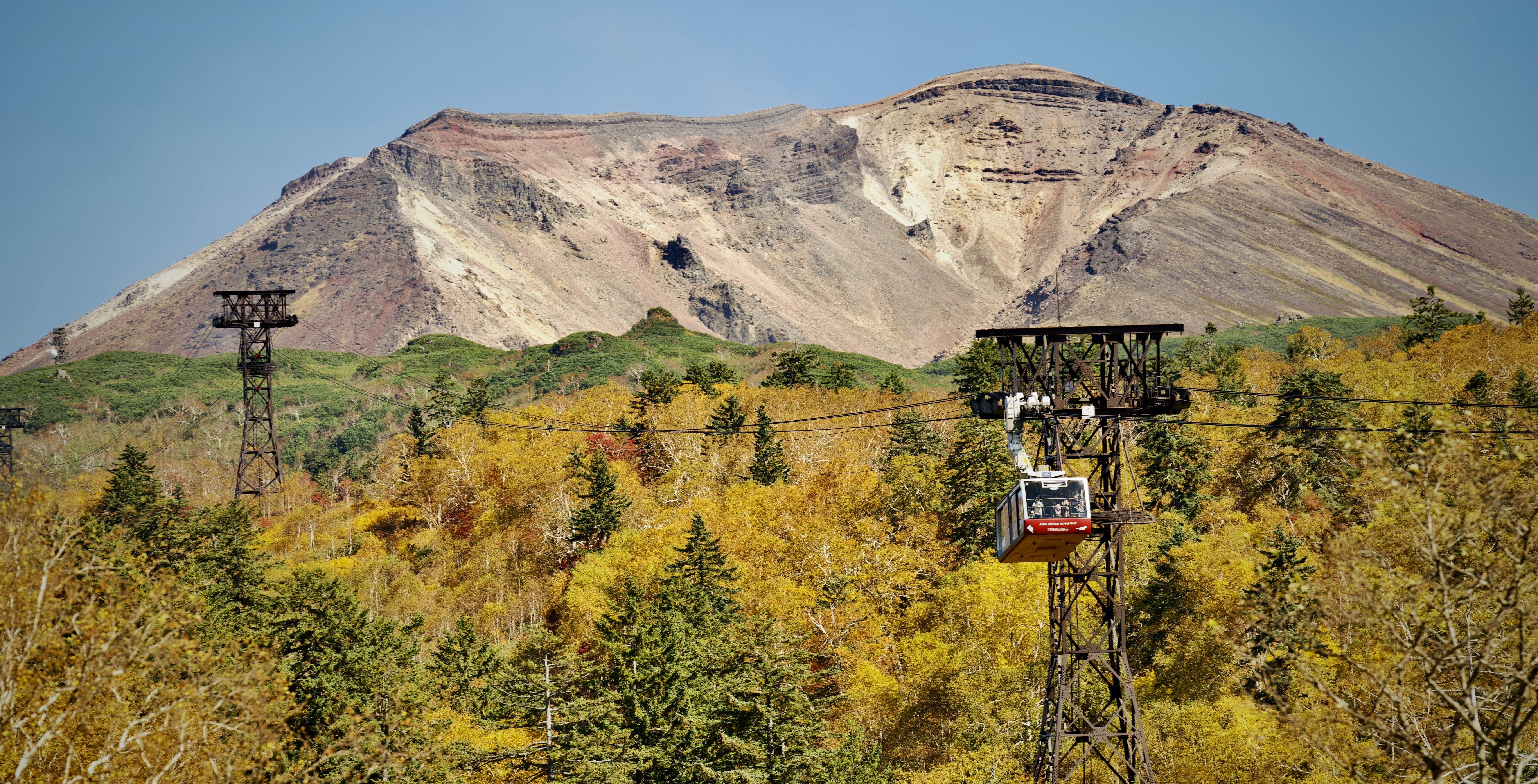 Ascending Through Autumn's Palette