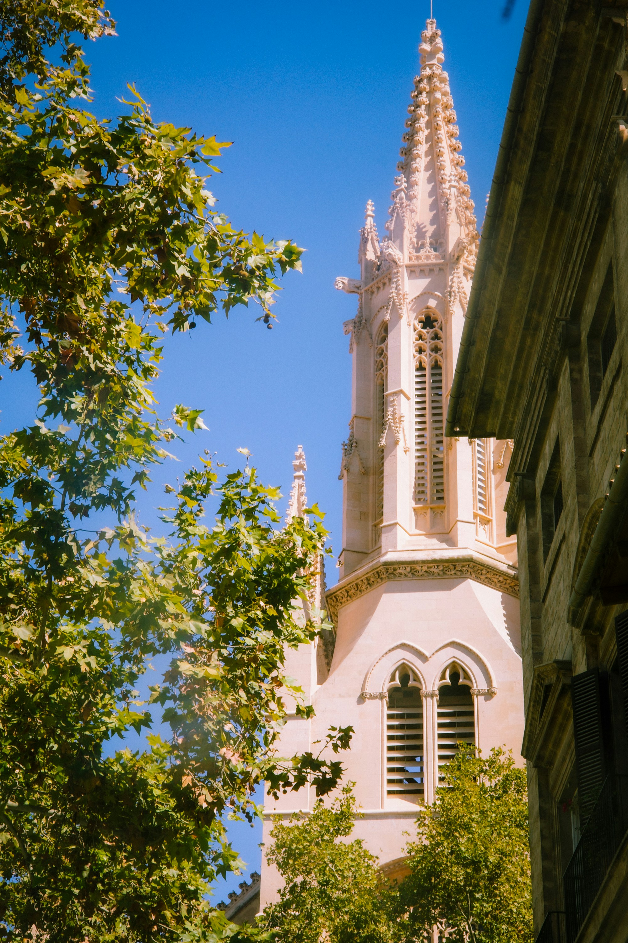 Tall church spire seen through green trees