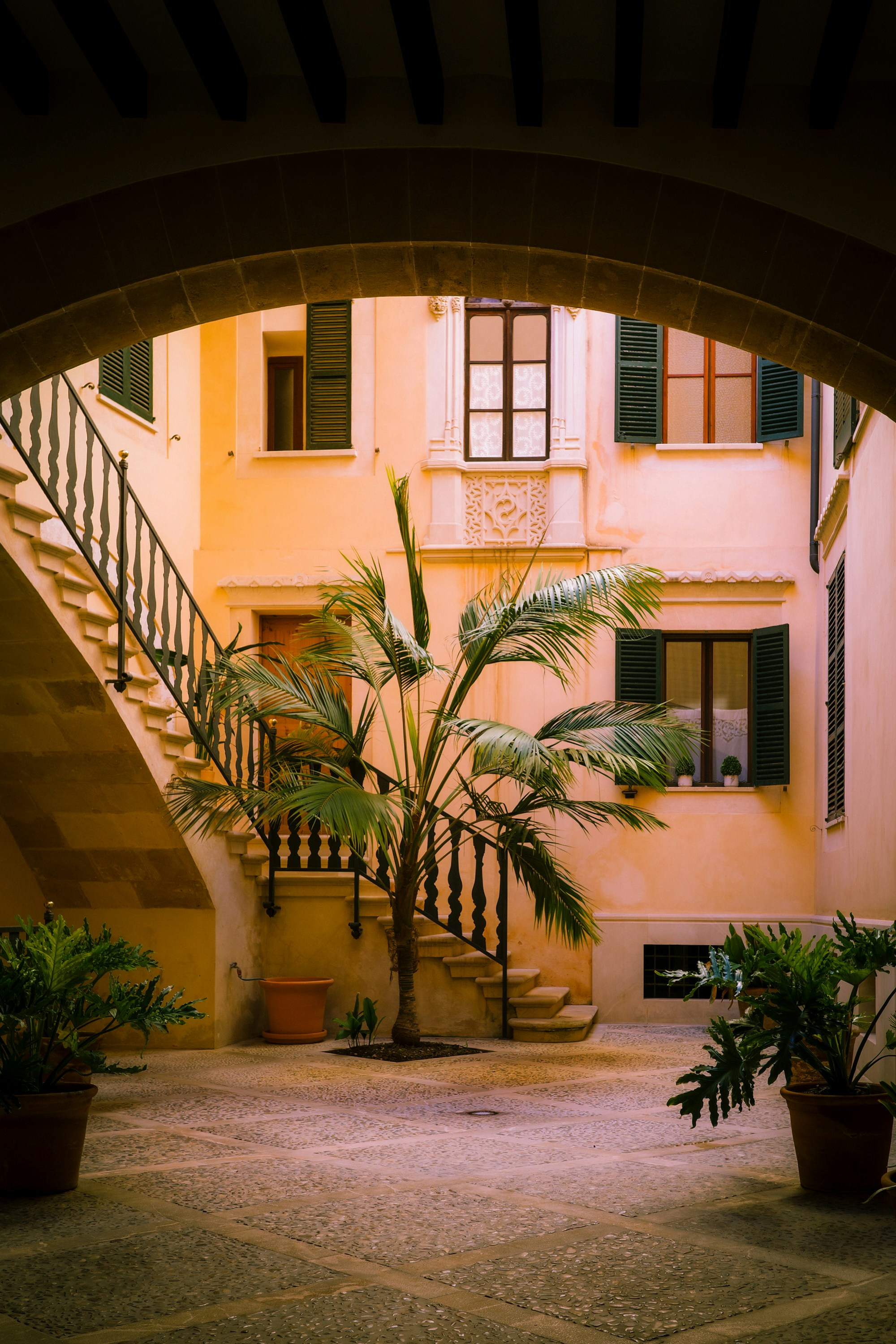 Courtyard with palm tree and staircase
