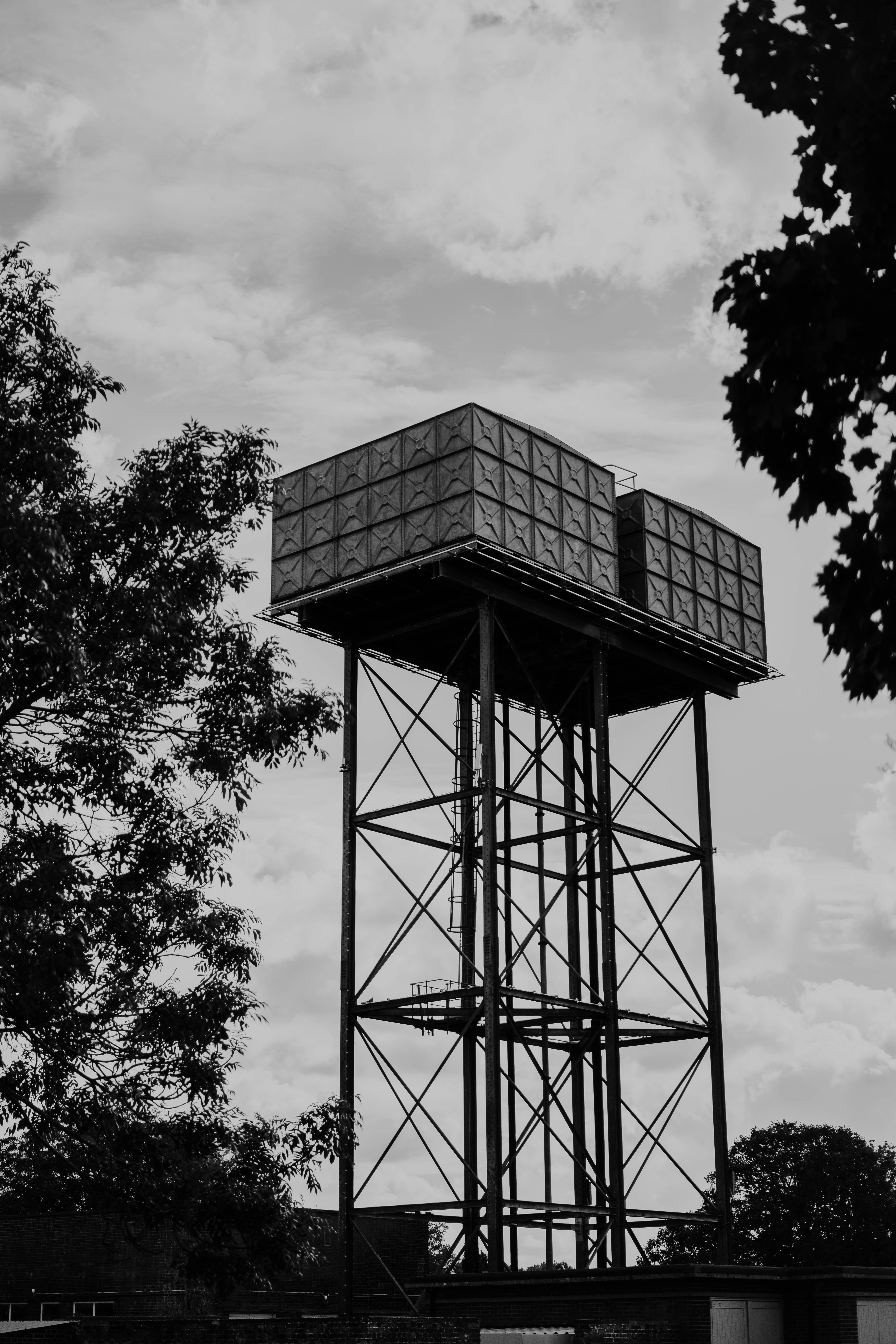 Rising Steel, Quiet Sky: a Water Tower Framed by Trees in Monochrome