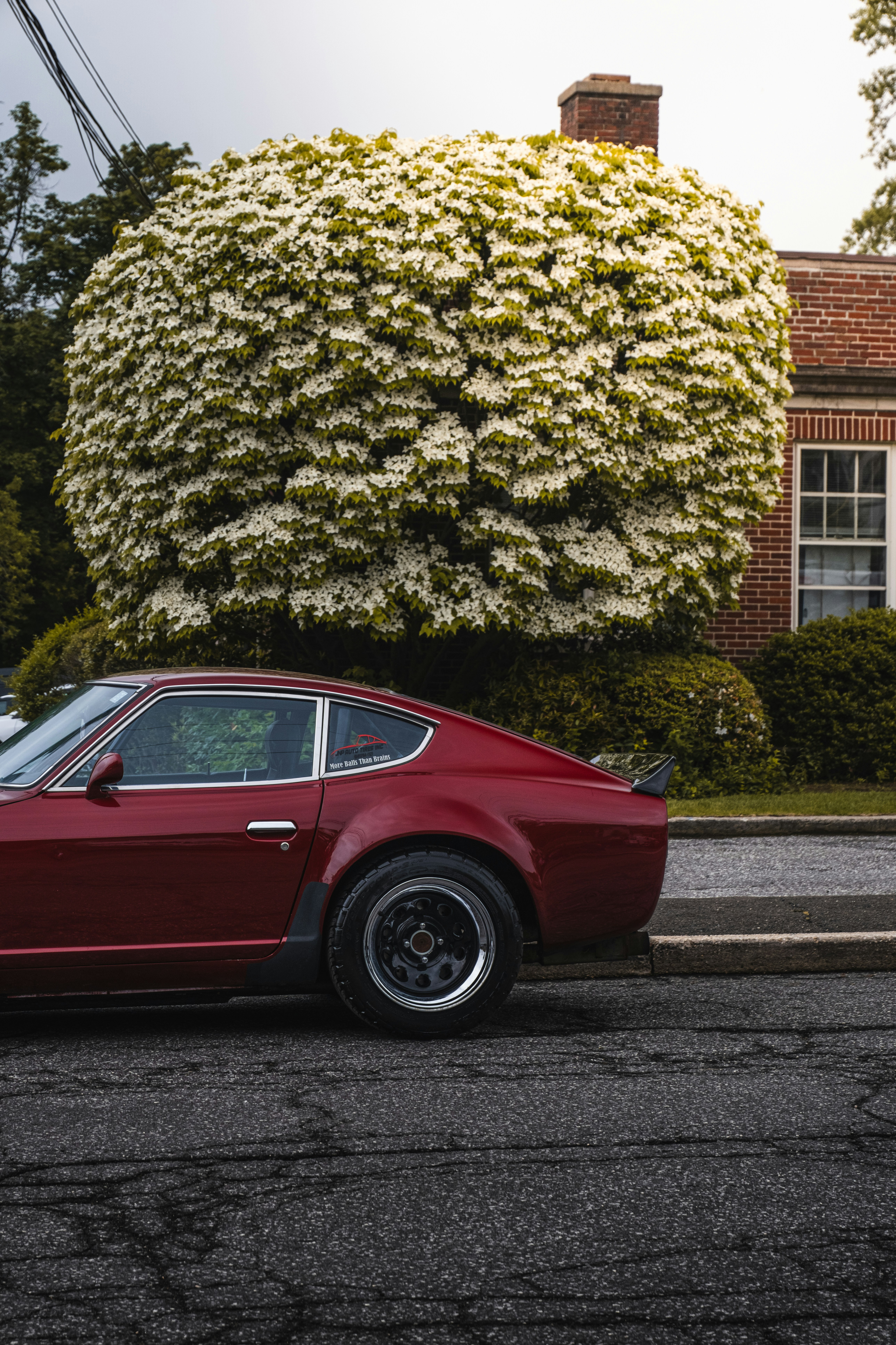 Classic Curves Against Nature's Canvas