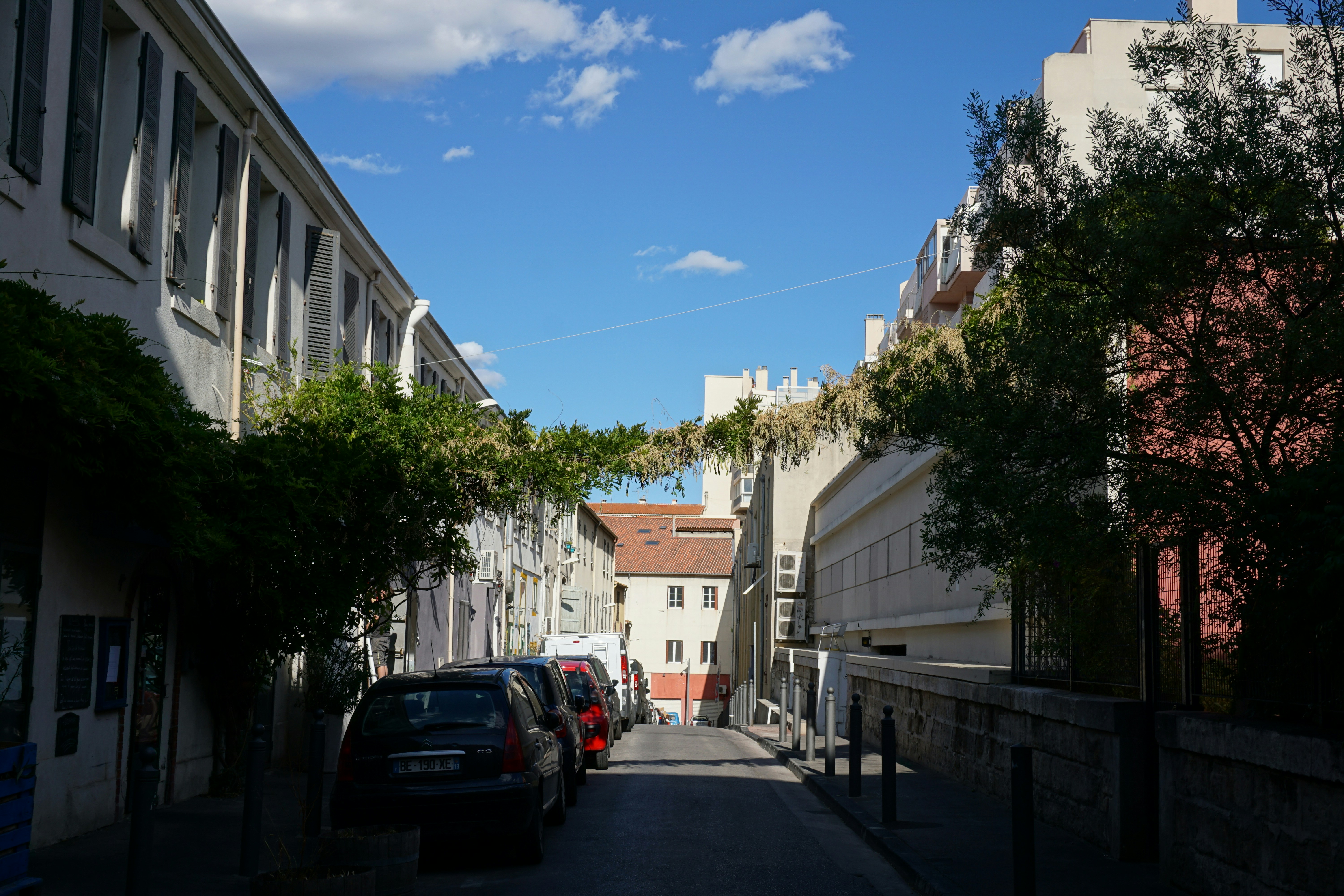 Urban Oasis: A Hidden Pathway