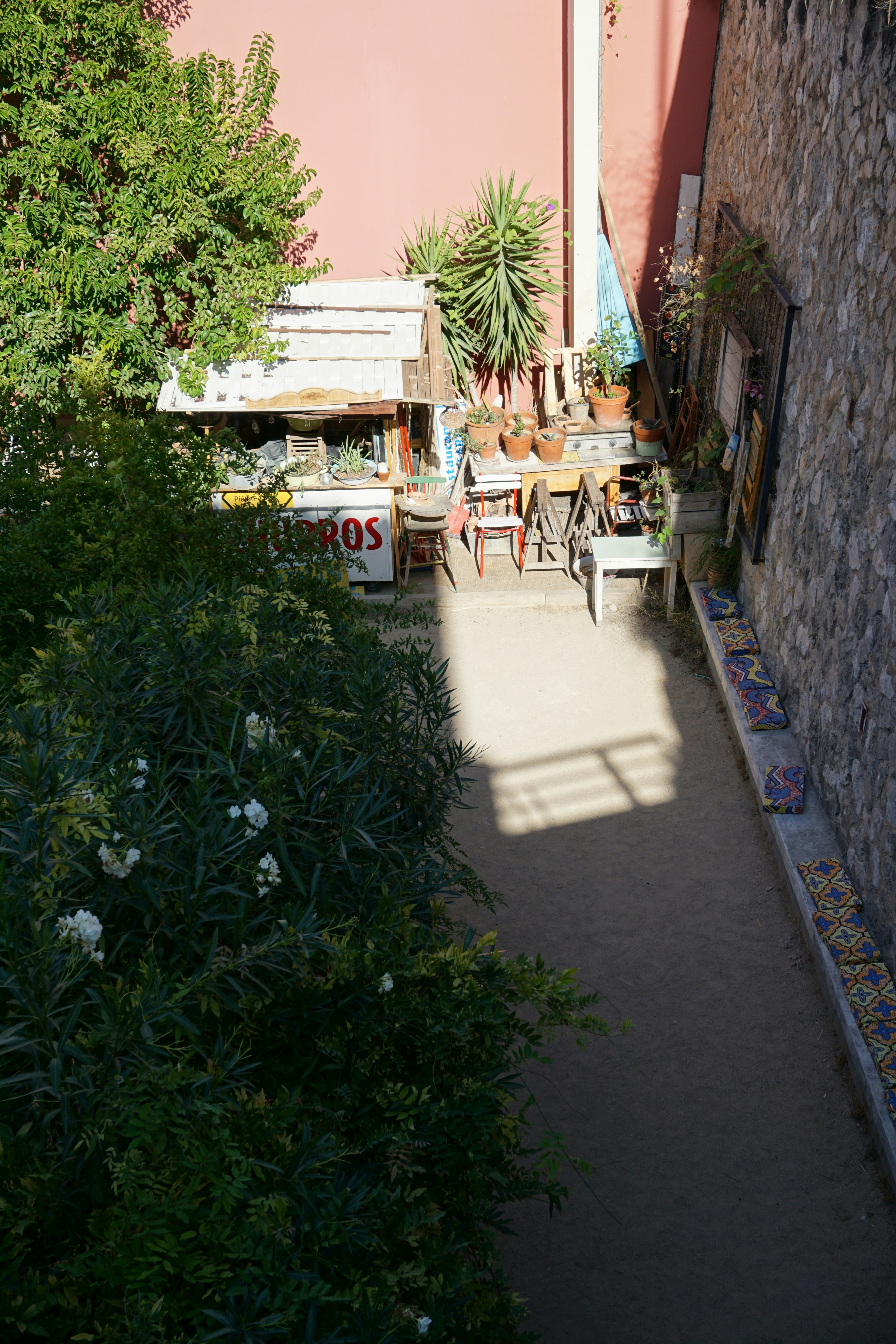 A Hidden Oasis: The Charm of a Quaint Marketplace