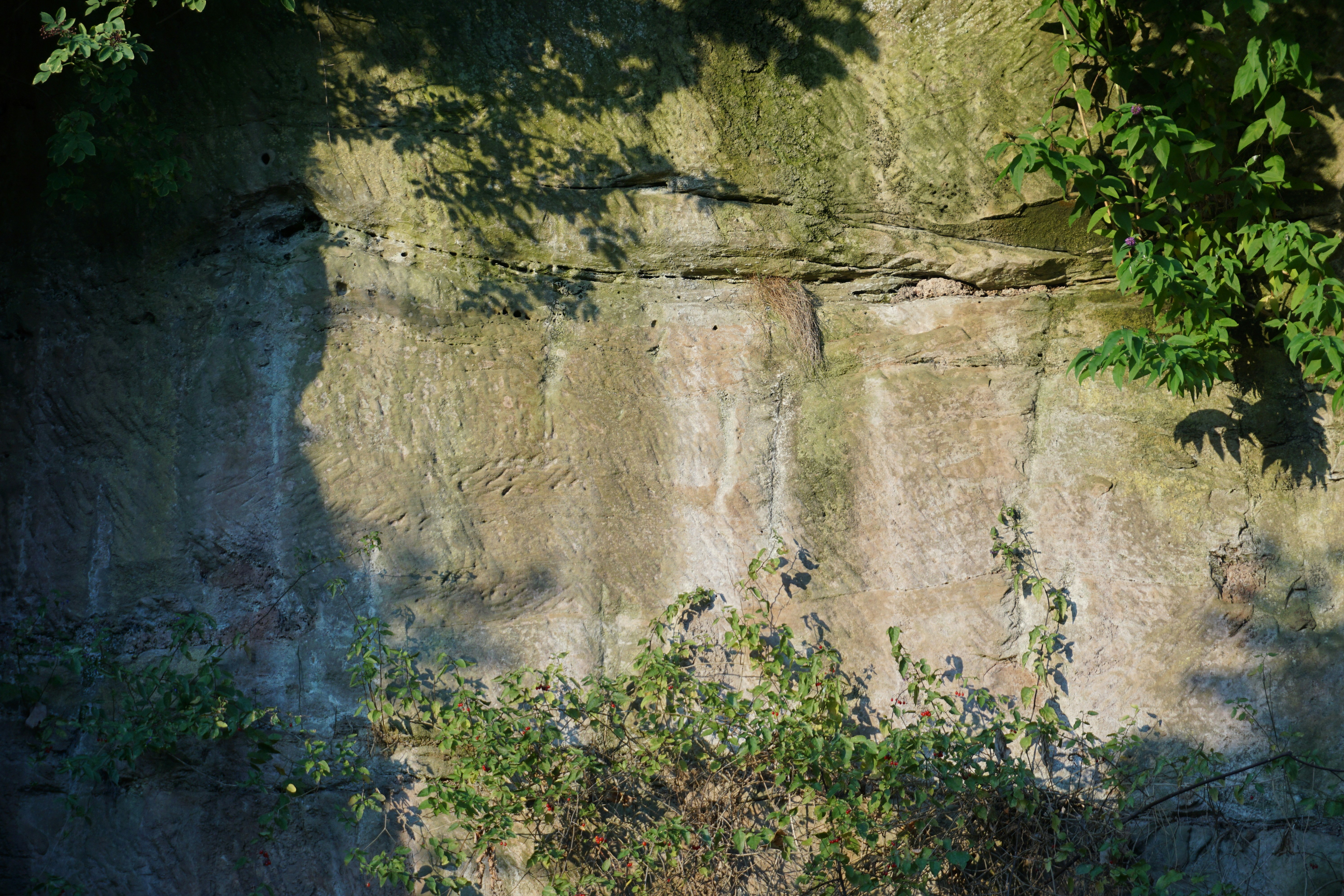 Rough stone wall with green foliage and shadows.