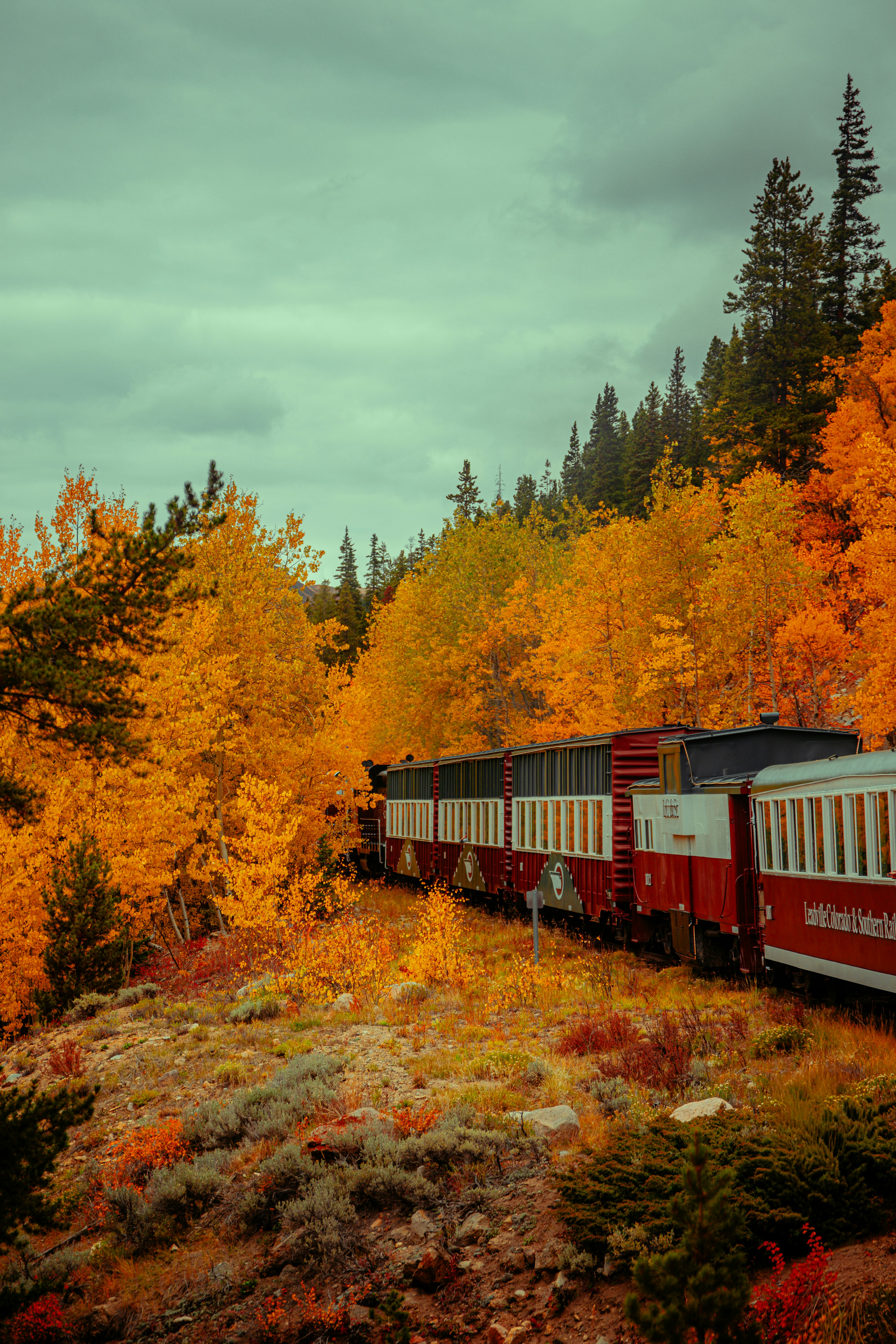 A vintage train winds through a vibrant forest of golden autumn leaves, set against a backdrop of evergreens and cloudy skies.