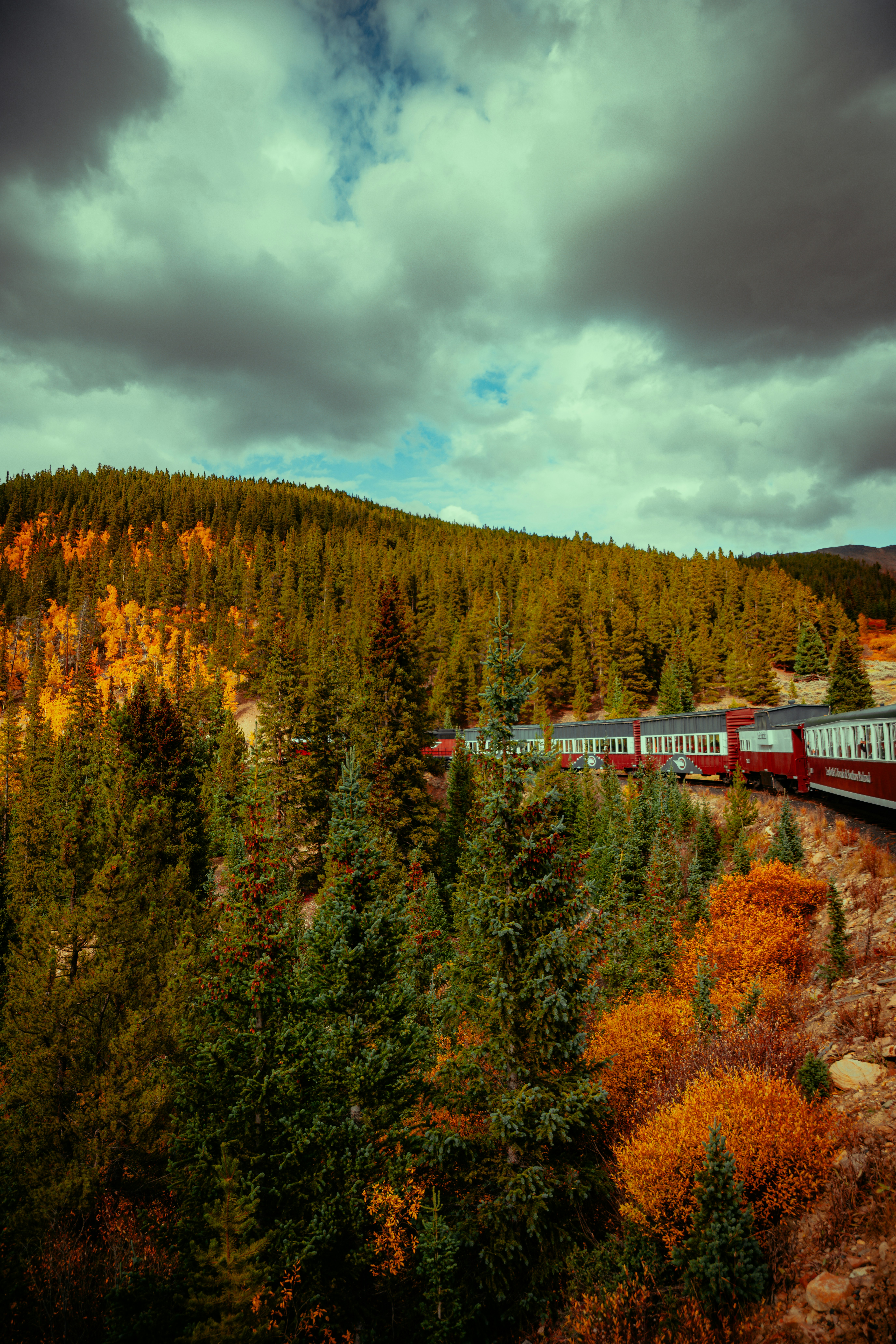 Photo by Colin Lloyd with Nikon Z9