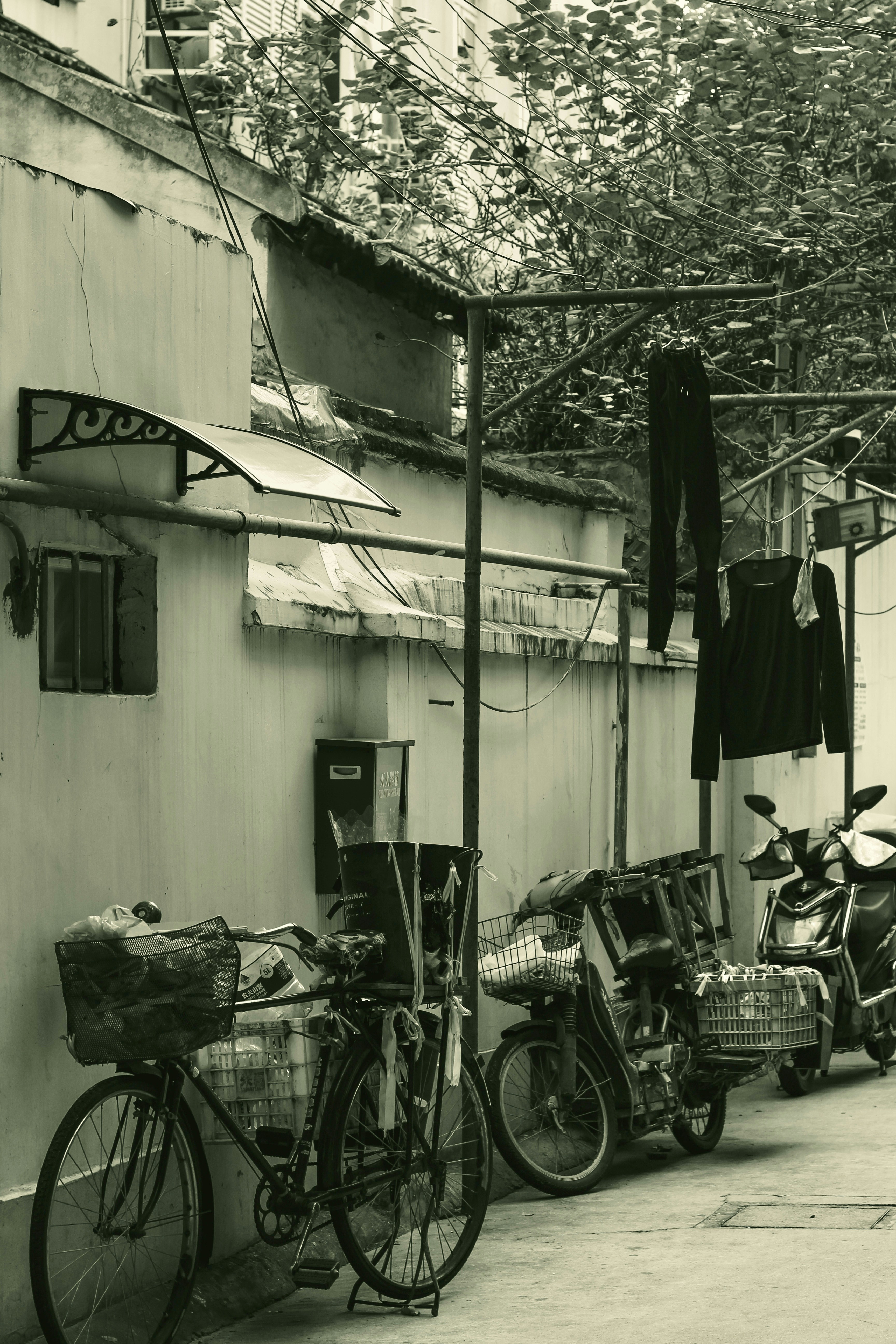 Urban Echoes: A Glimpse into Everyday Life