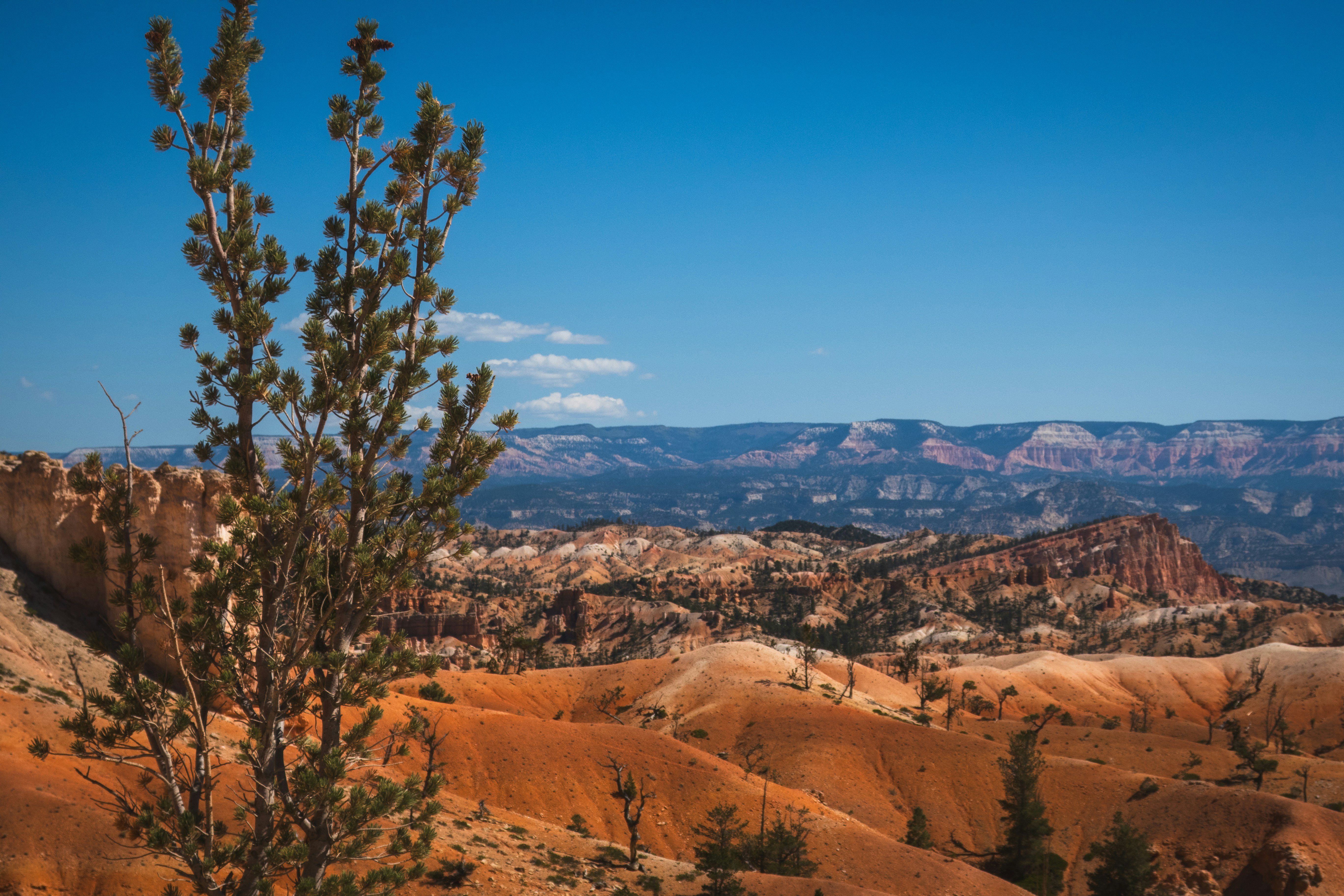 Photo by Tom Donders with Canon PowerShot G9 X Mark II