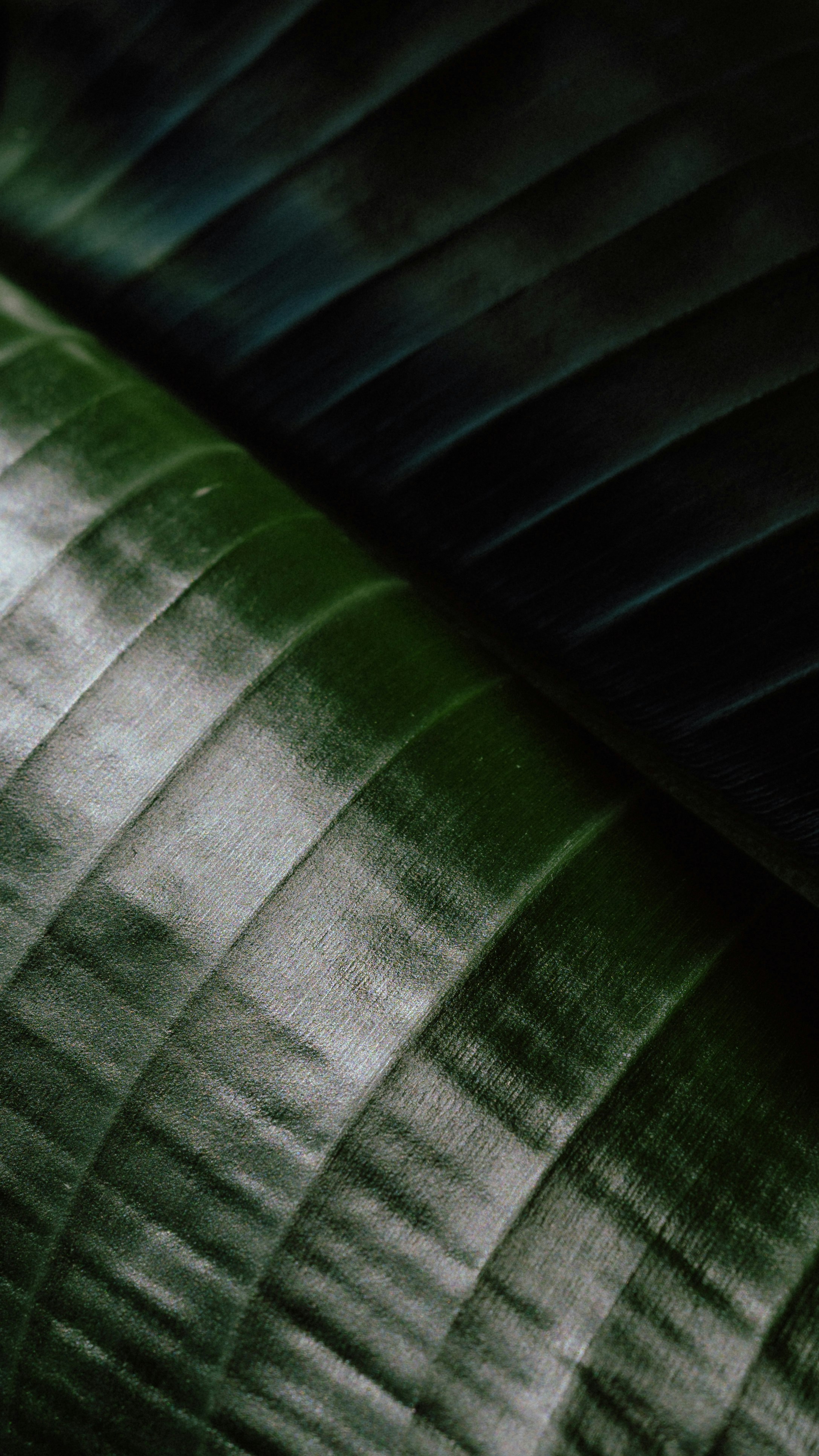 Close-up of overlapping green and black leaves showcasing intricate textures and natural patterns.