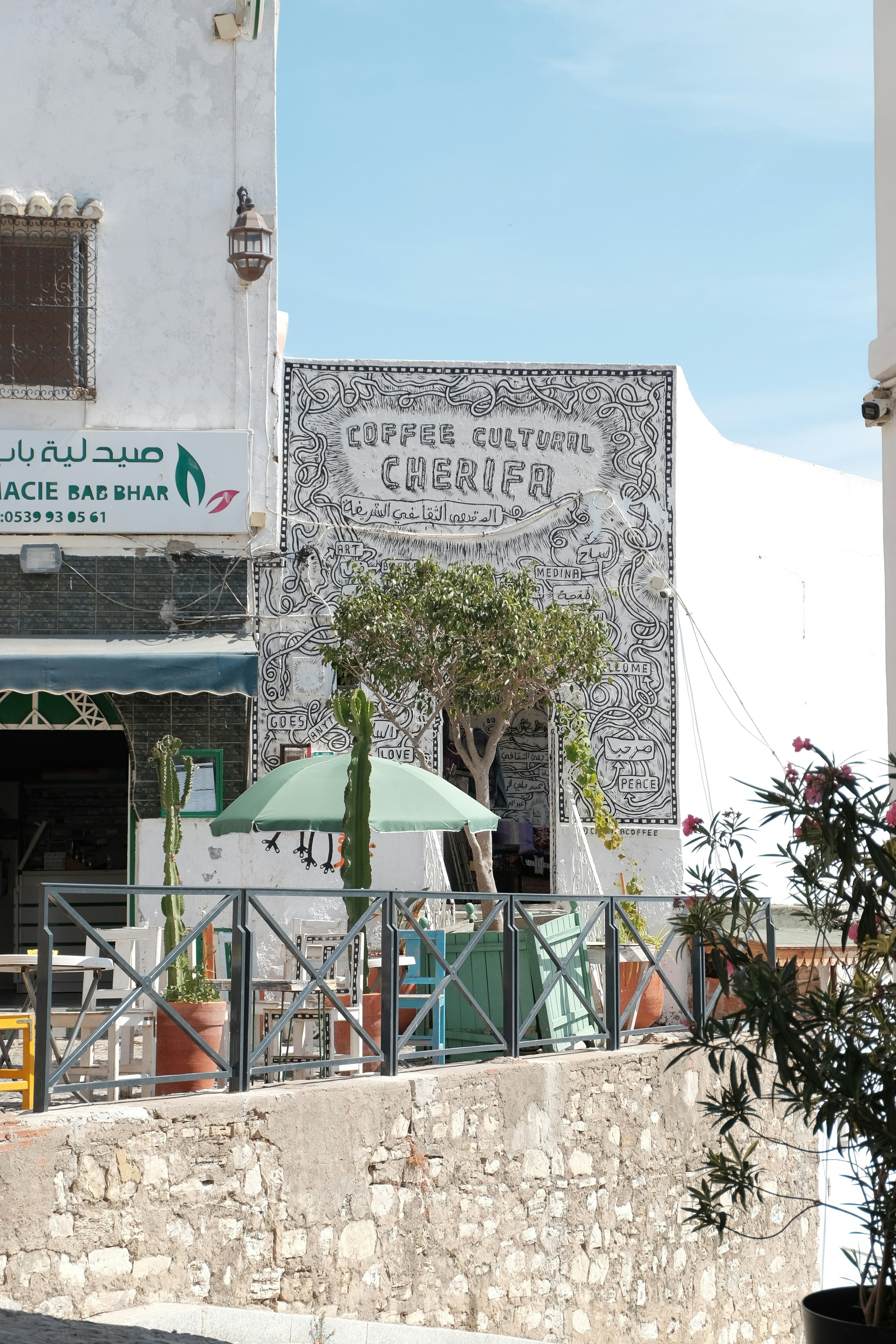 Cultural Oasis: The Charm of Cherifa