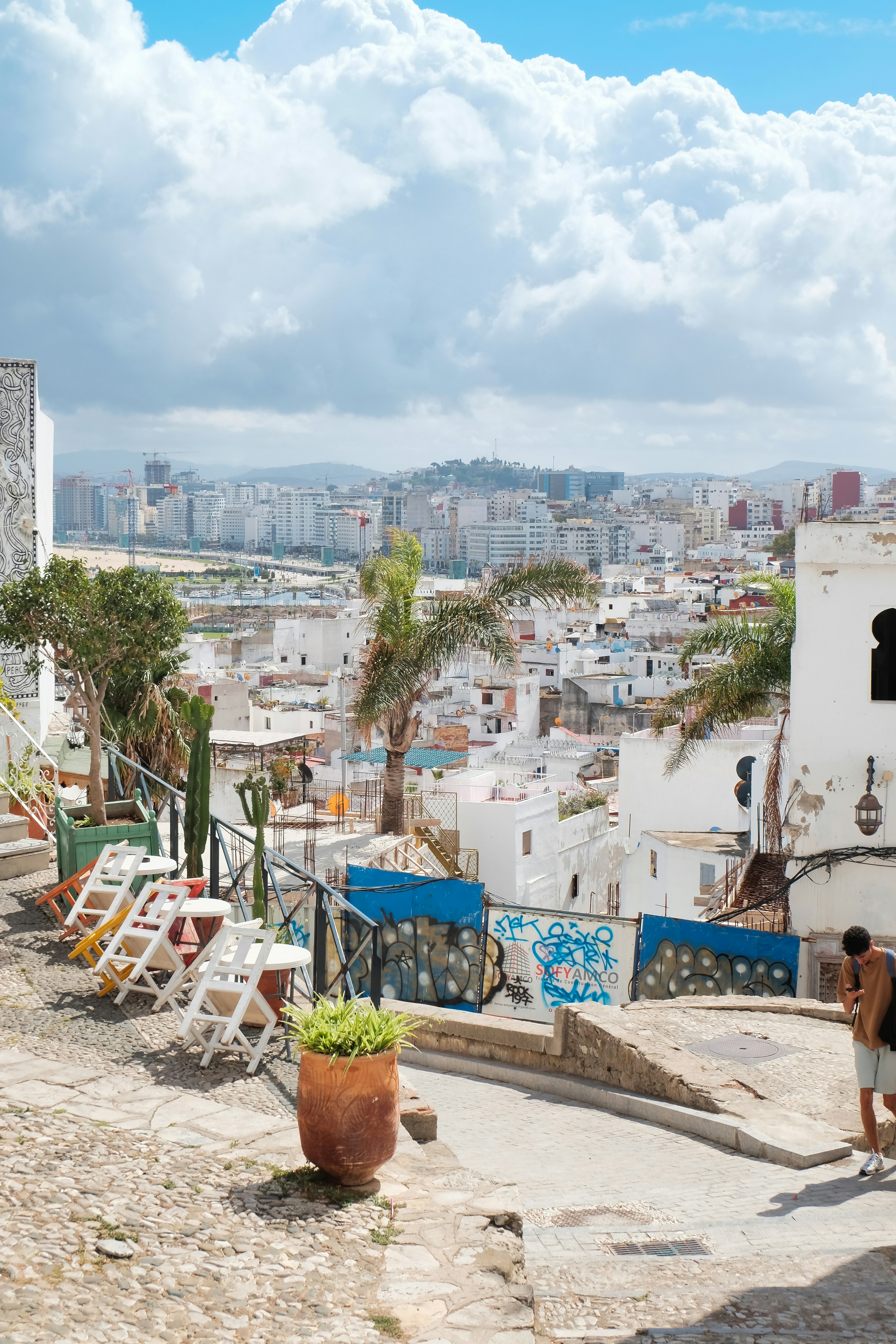Terracotta Pot on a Sun-Drenched Terrace Framing a Sea of White-Washed Rooftops