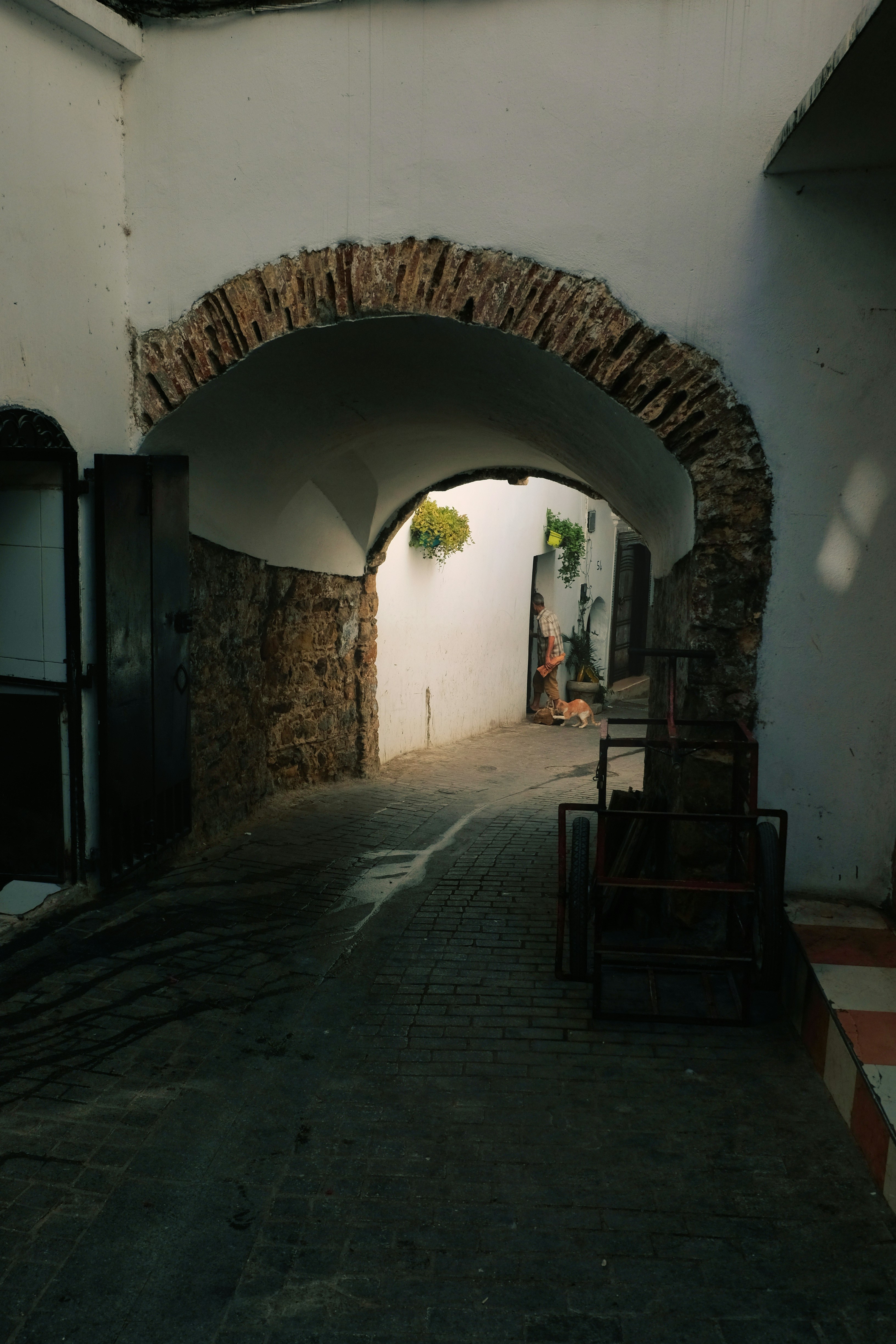 Whispers of the Past in a Sunlit Alley