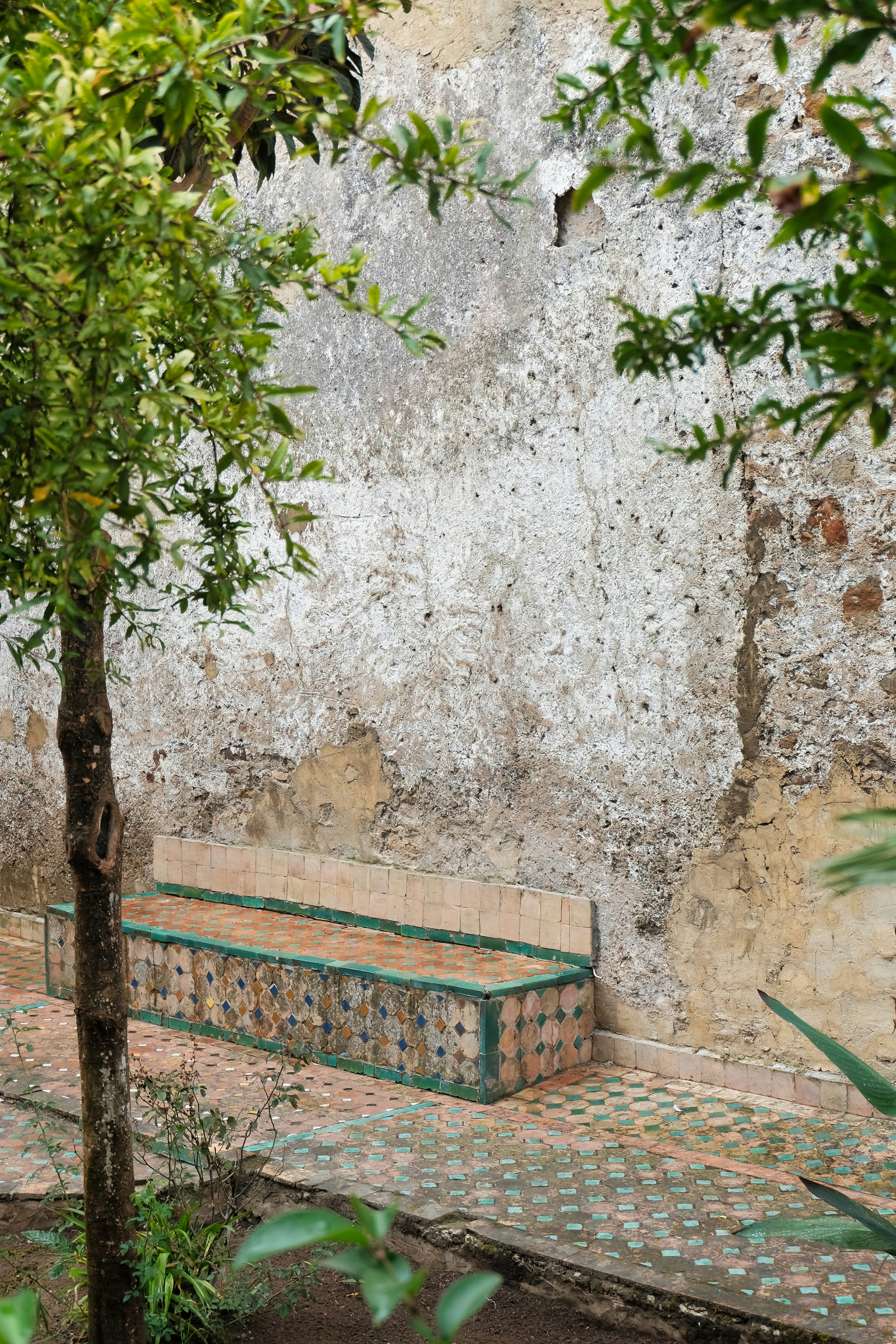 Whispers of Tranquility in a Hidden Garden