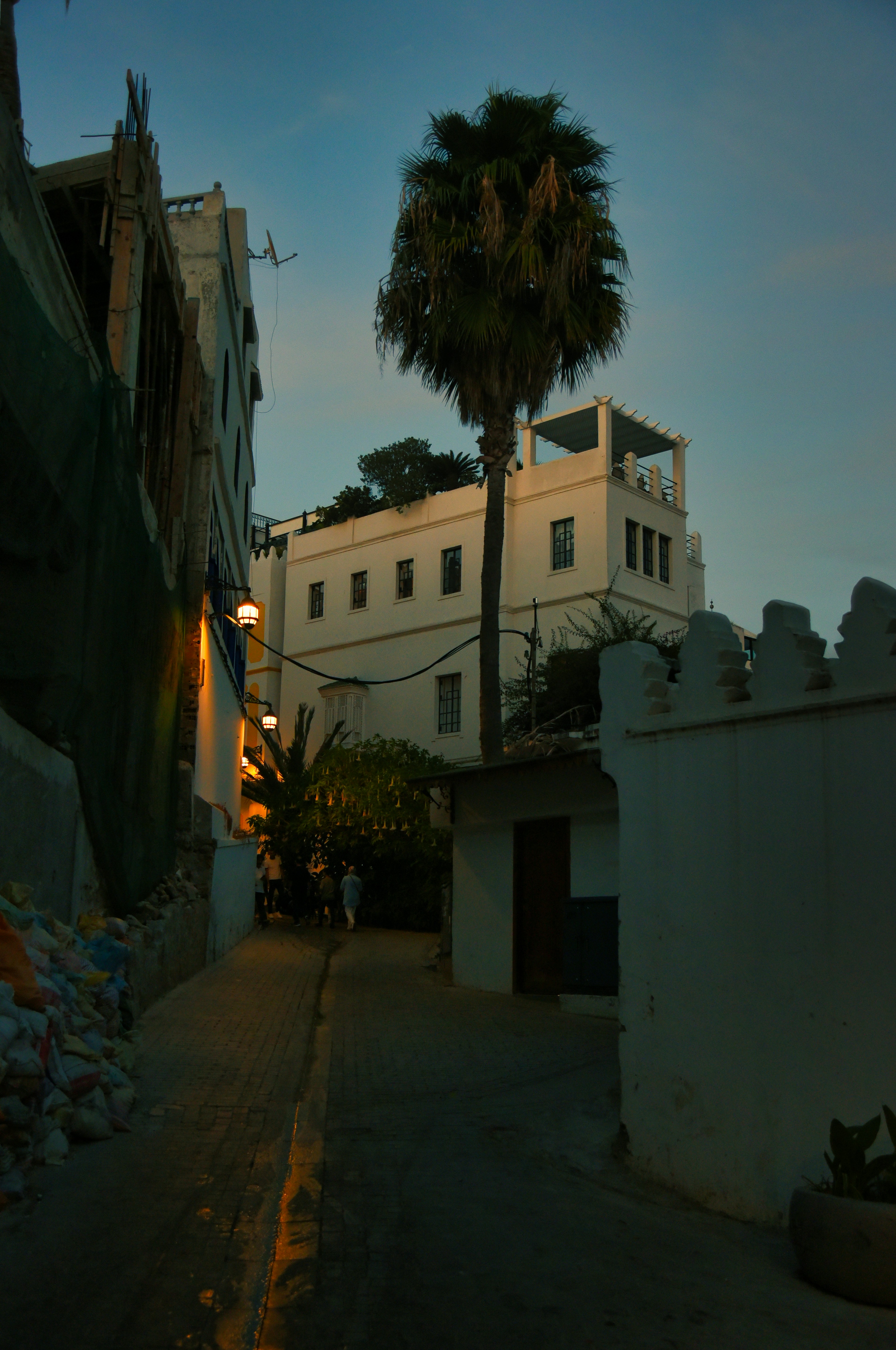 Whispers of the Twilight Alley