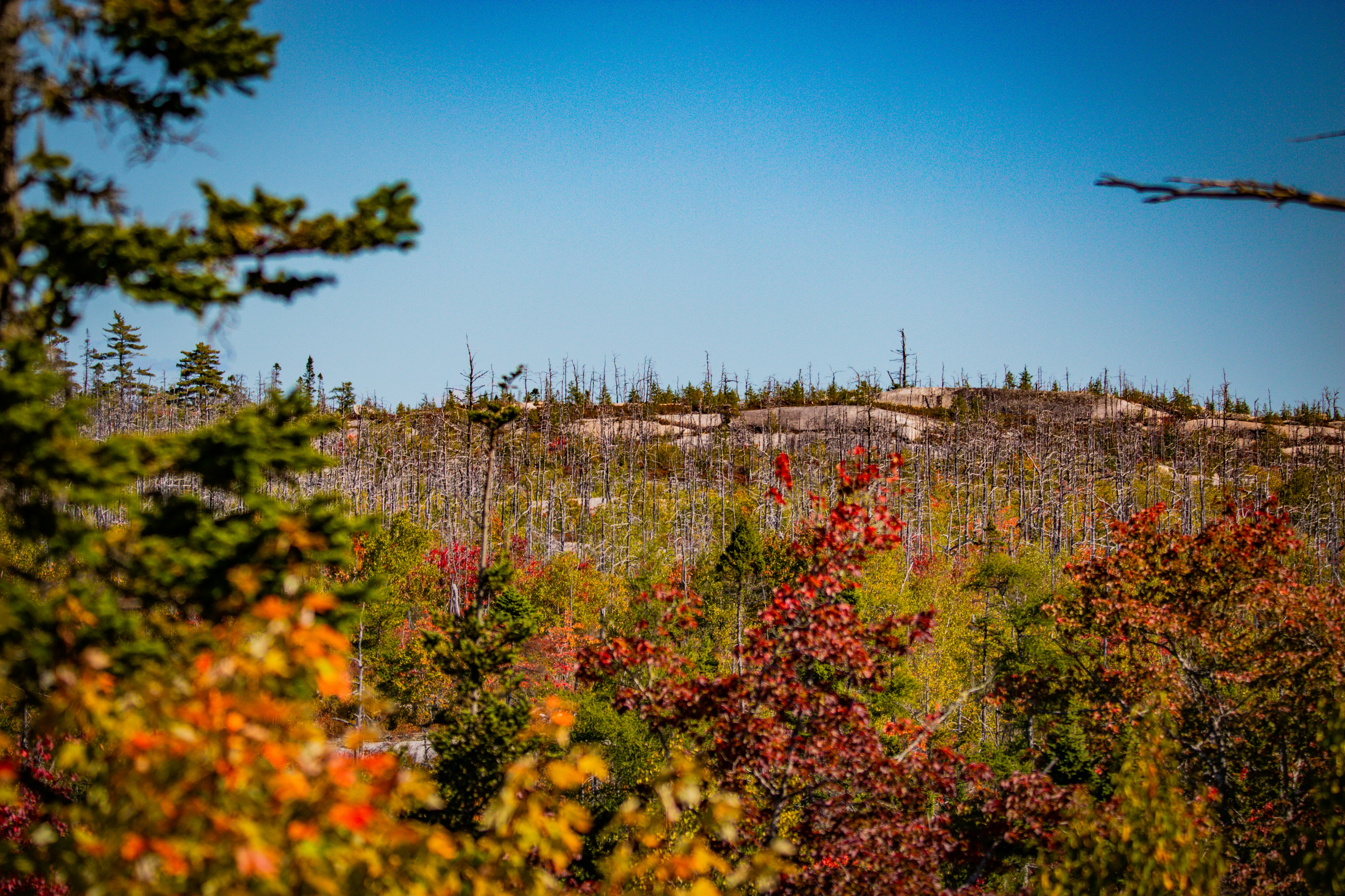 Autumn Crest: A Quiet Ridge Beyond the Colorful Foothills