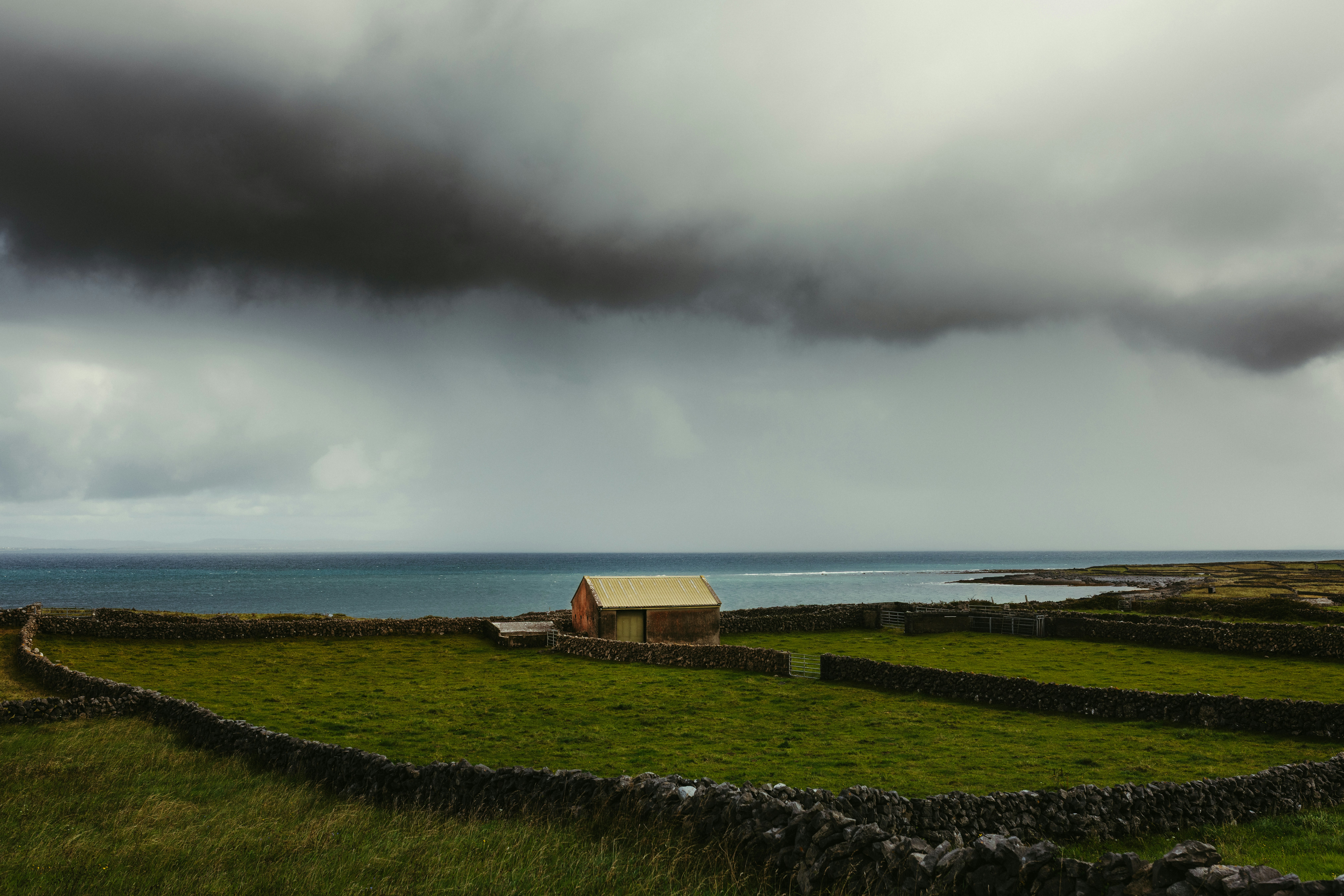 Storm-Bordered Pasture: A Lone Shed Beside Sea Walls