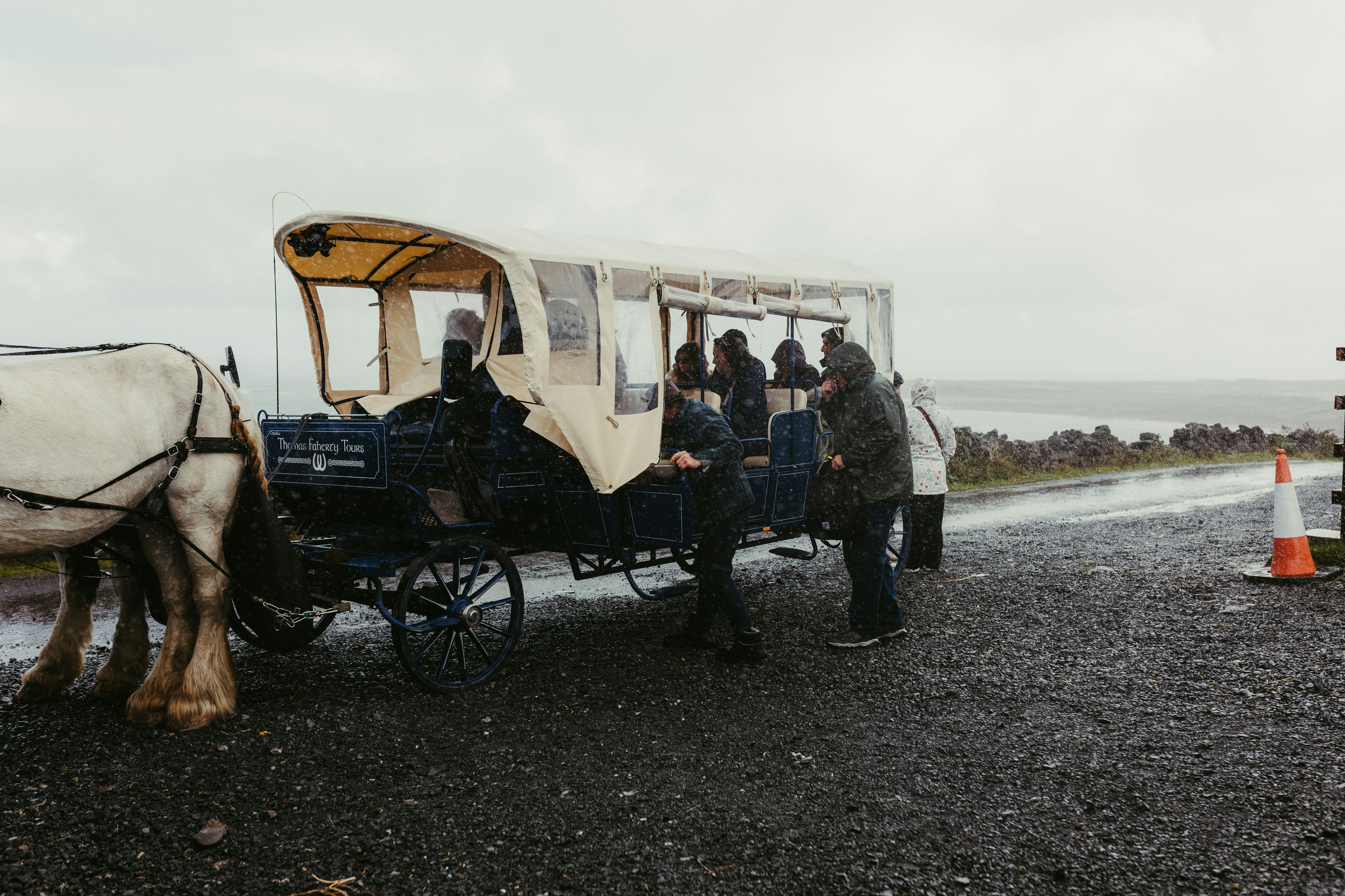 Journey Through the Mist: A Horse-Drawn Adventure