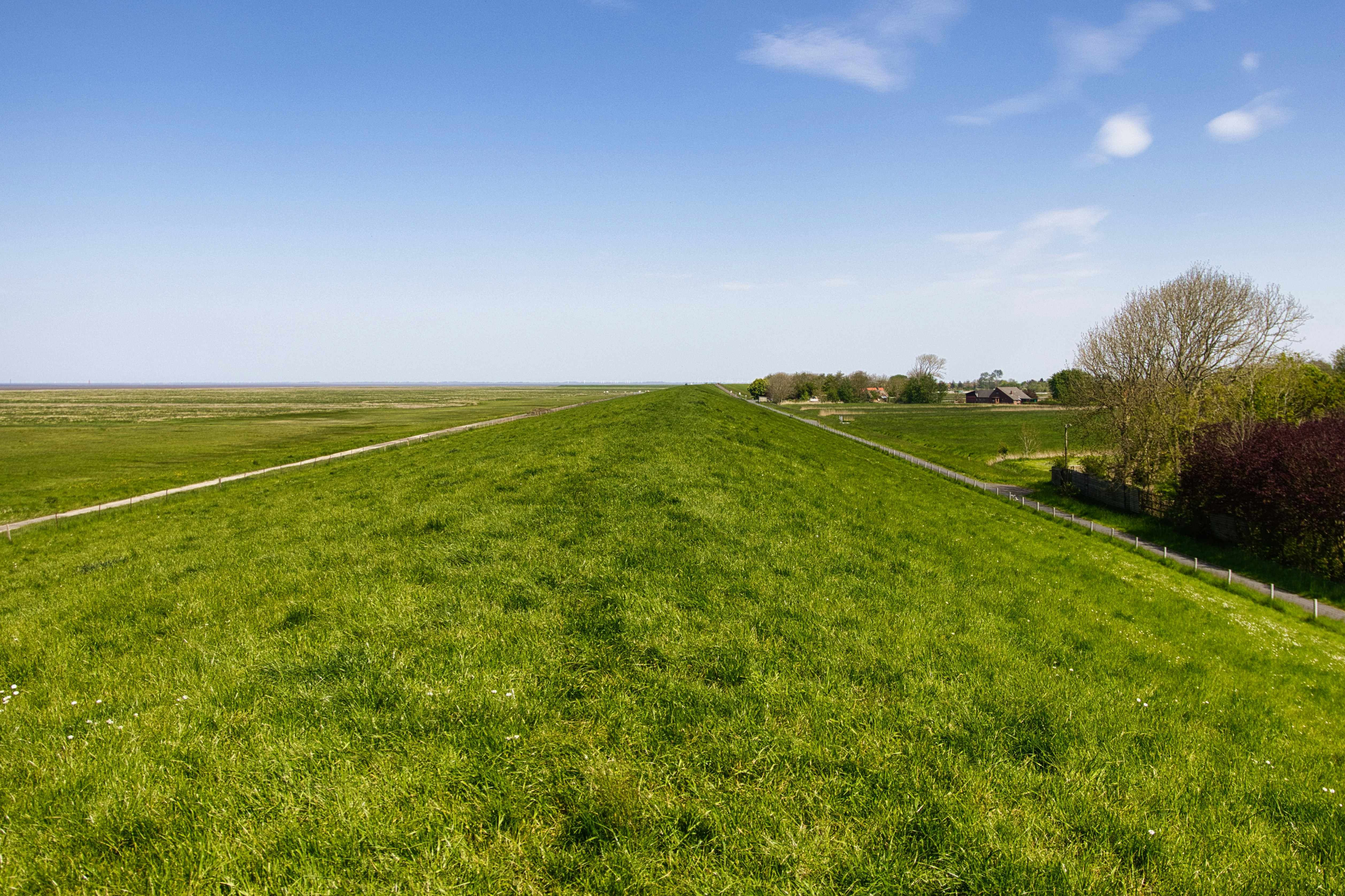 Vast green landscape stretching towards the horizon, marked by a grassy embankment under a clear blue sky. A few trees and distant structures punctuate the serene scene.