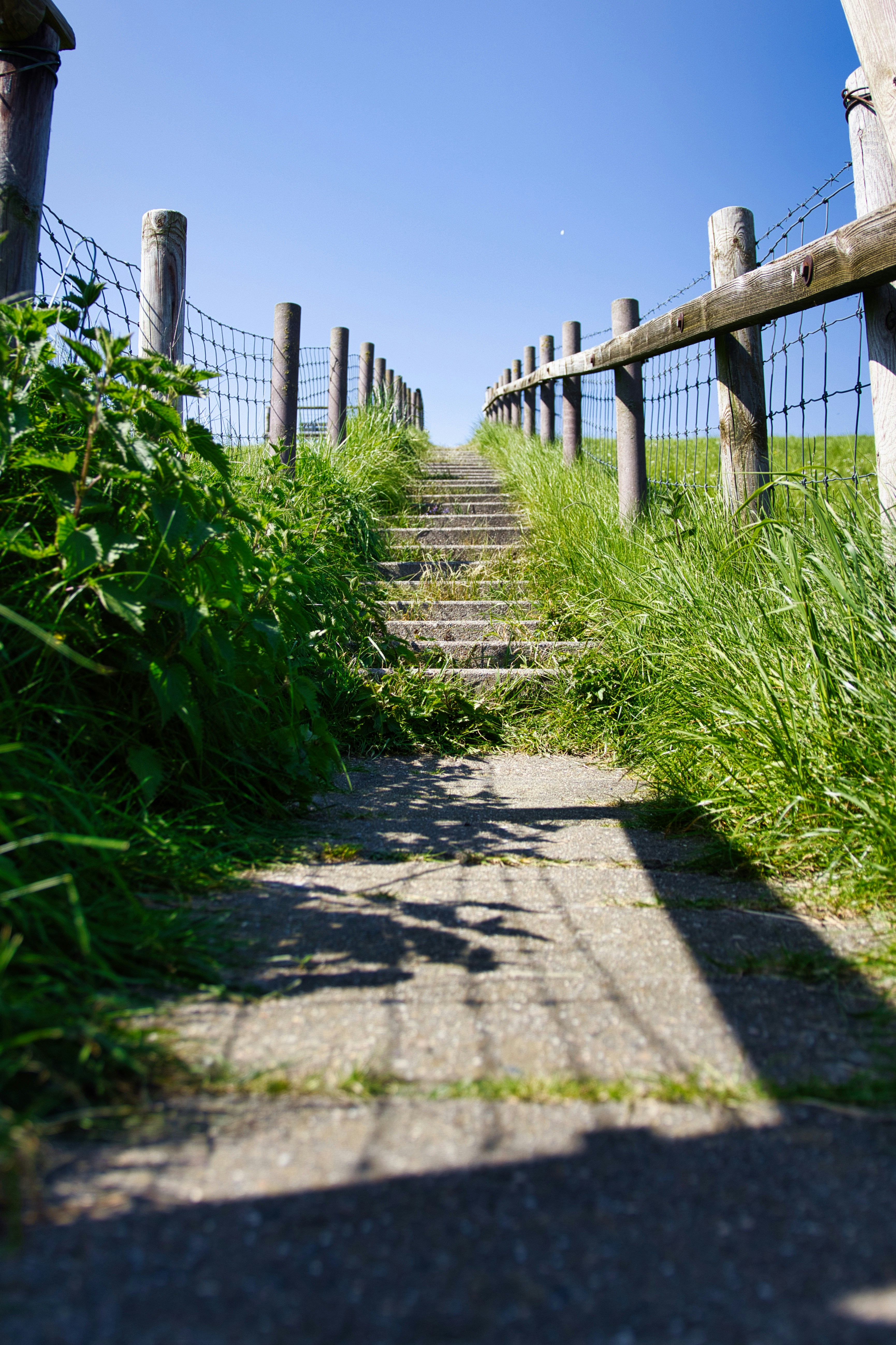 Photo by 𝕡𝕒𝕨𝕤 𝕒𝕟𝕕 𝕡𝕣𝕚𝕟𝕥𝕤 with Canon EOS 250D