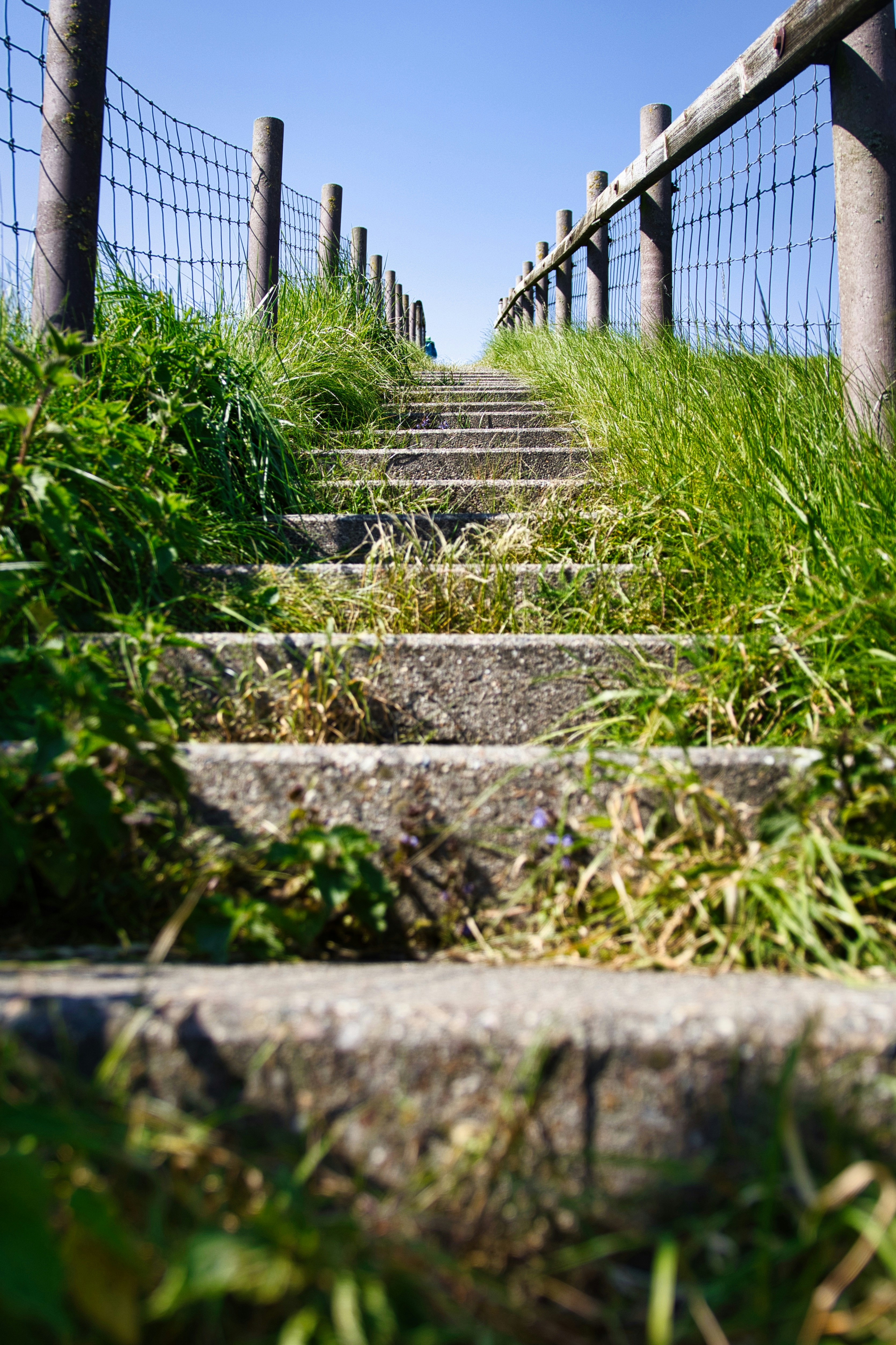 Stone steps ascend a grassy hill with a fence.