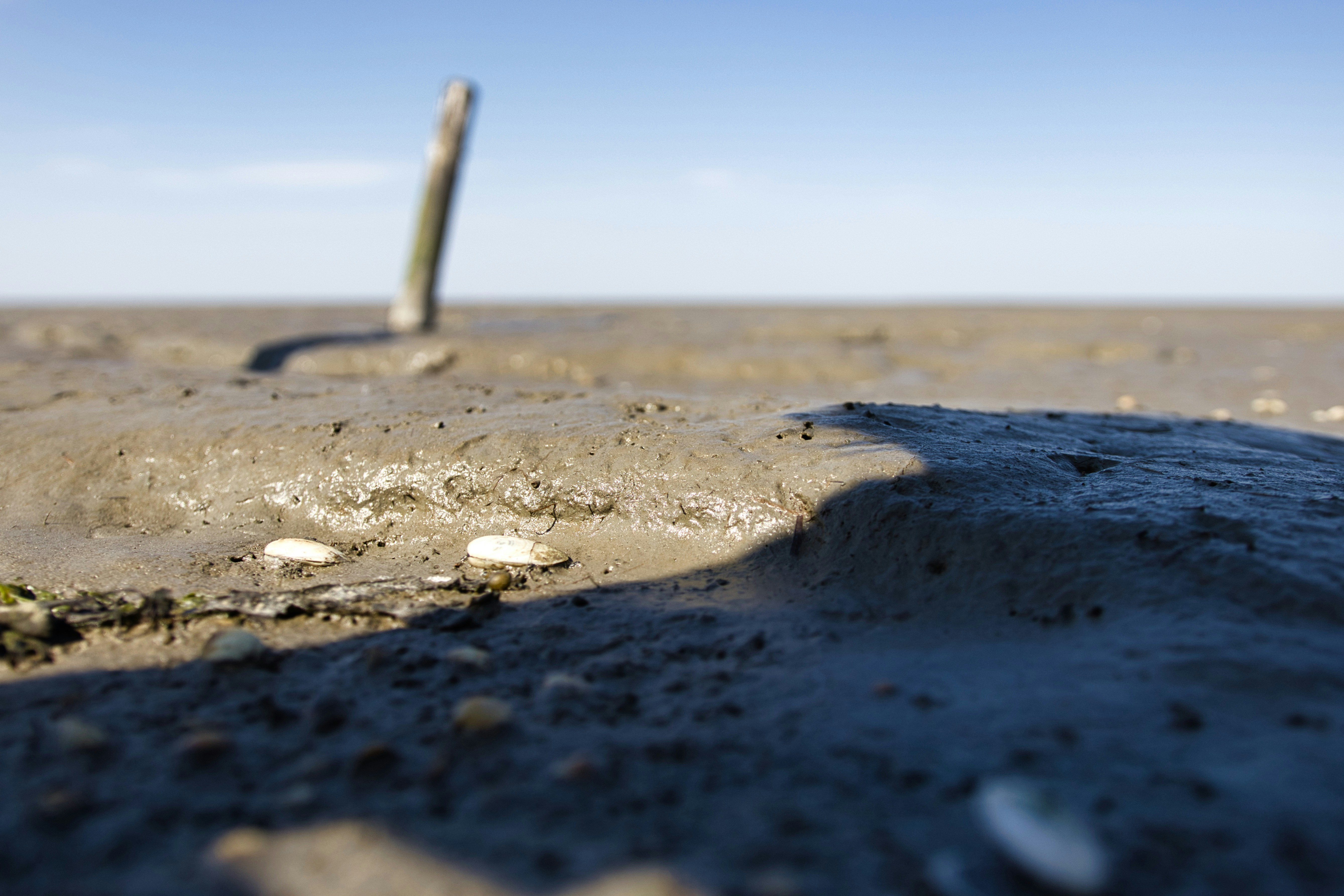 Whispers of the Tidal Edge