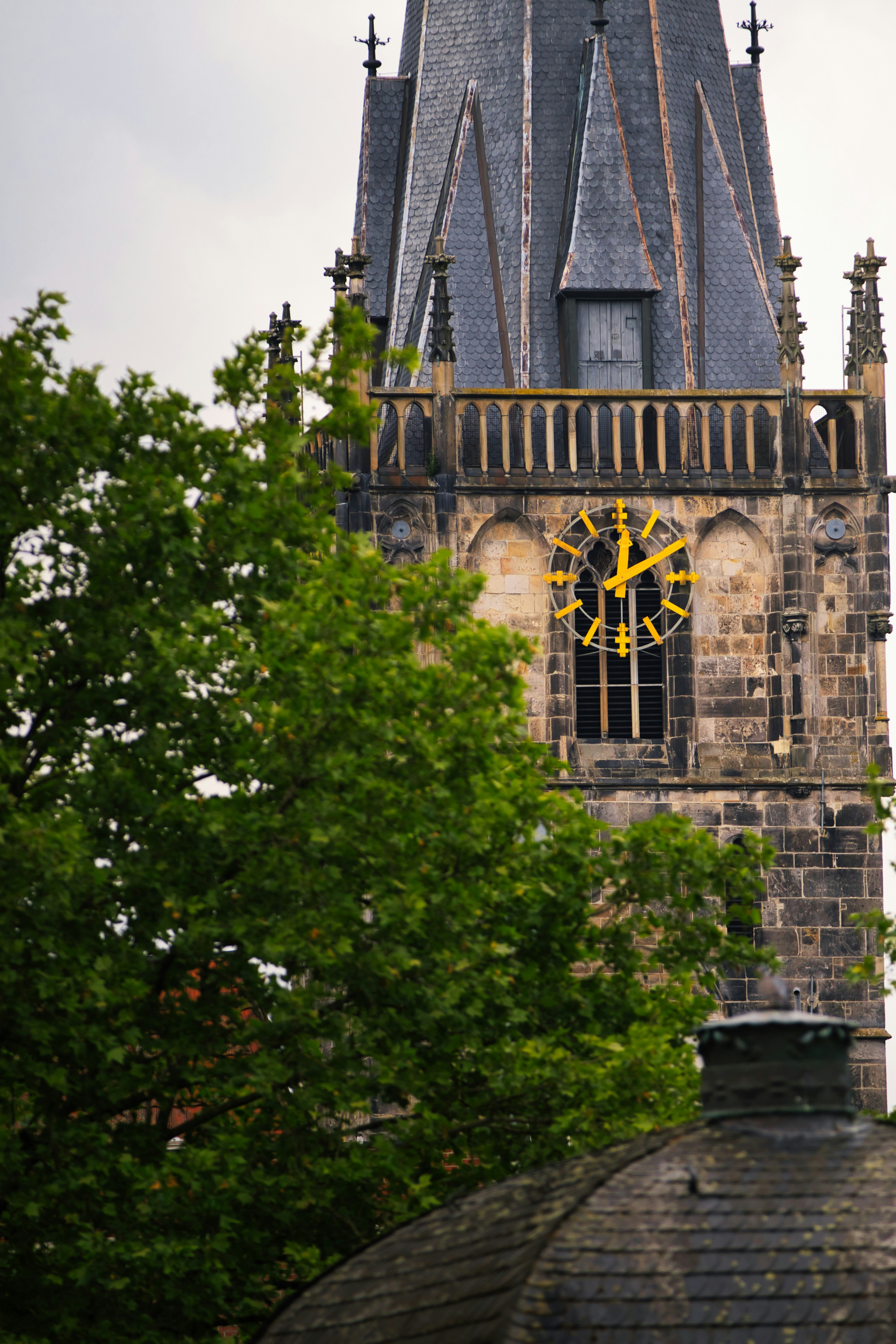 Historic clock tower peeking through lush green foliage, showcasing its vibrant yellow clock face against a stone backdrop.