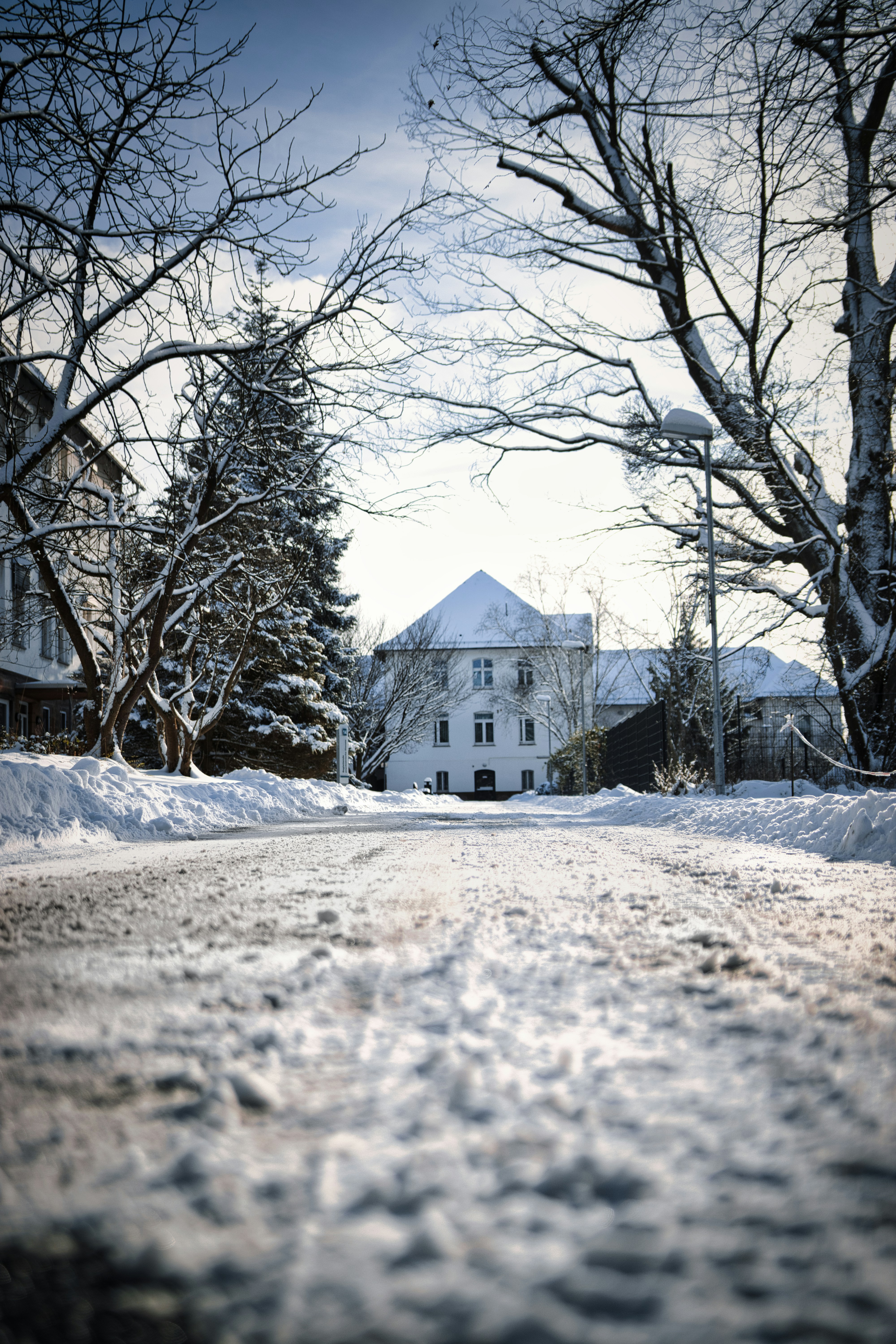 Winter's Silent Embrace: A Pathway to Tranquility
